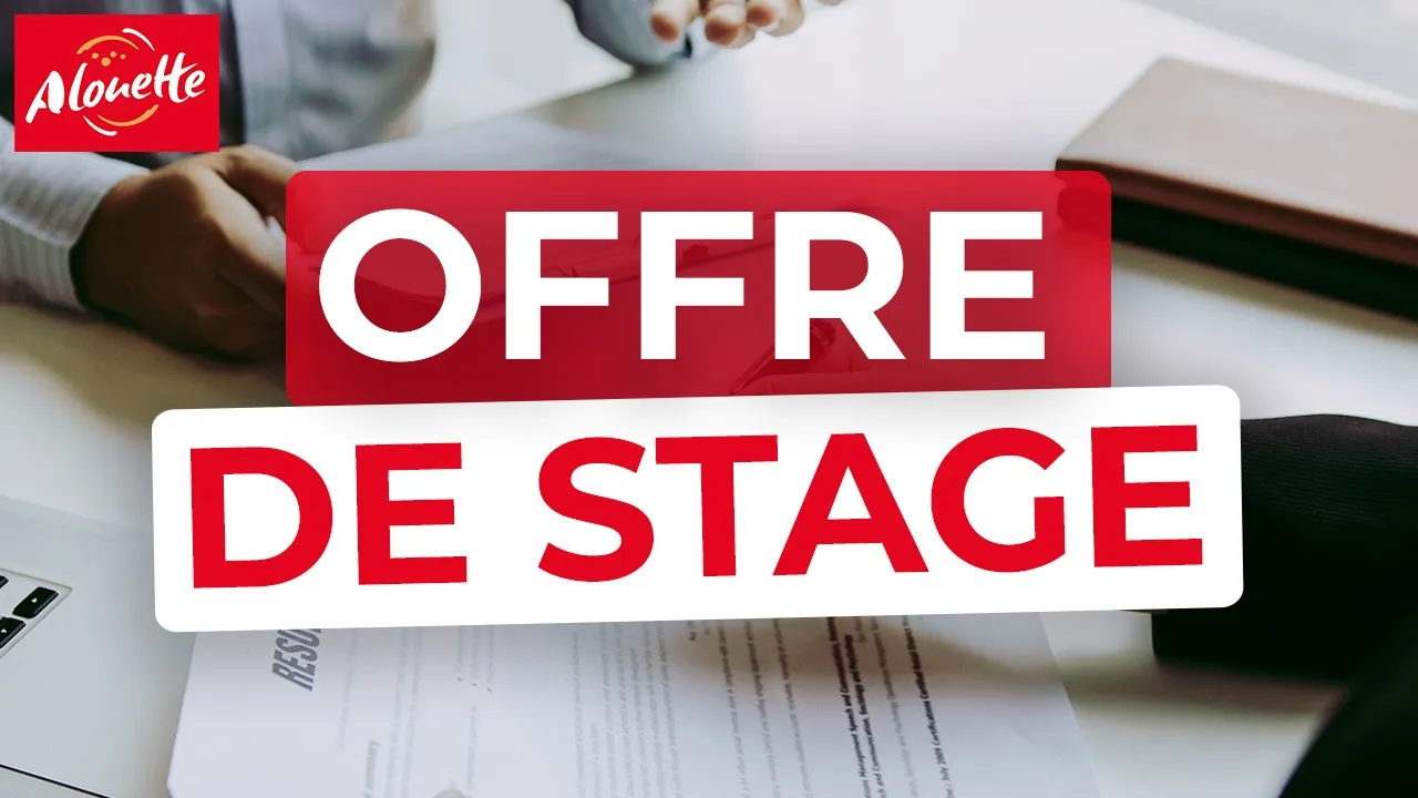 Offre de stage : animateur(trice)