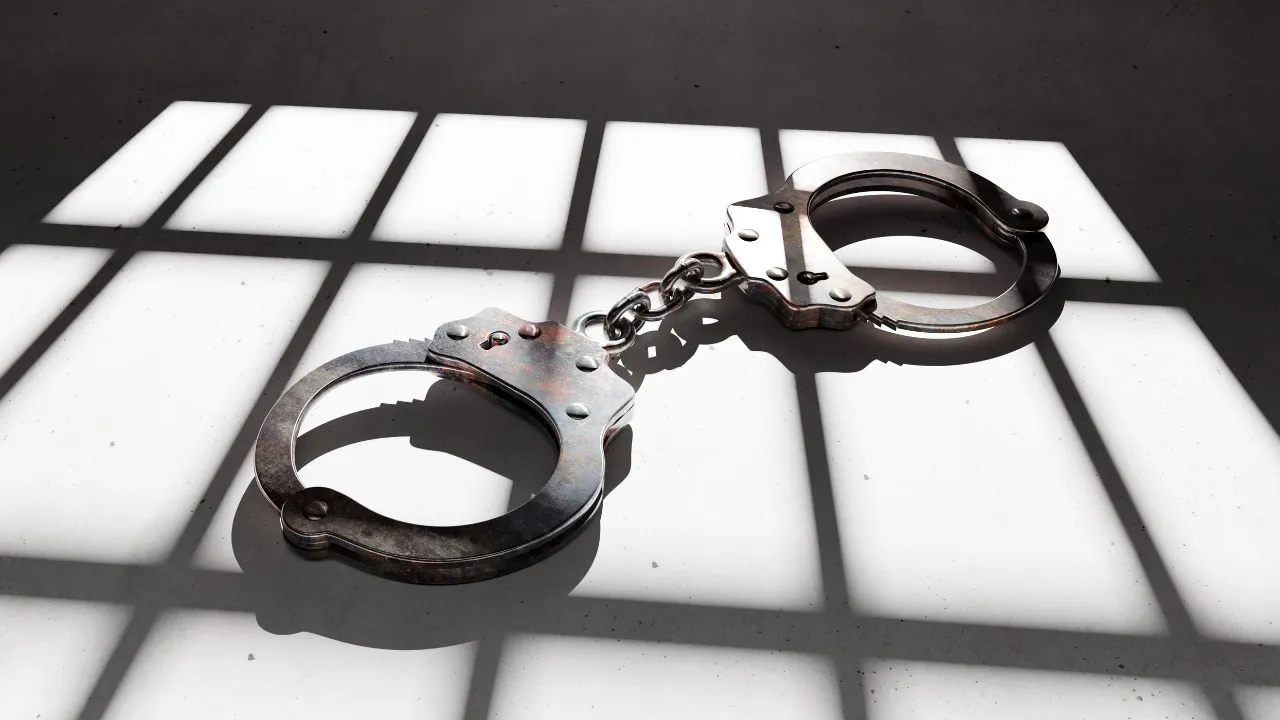 Meurtre de la tiktokeuse Alexandra Cosson : un Morbihannais condamné à ...