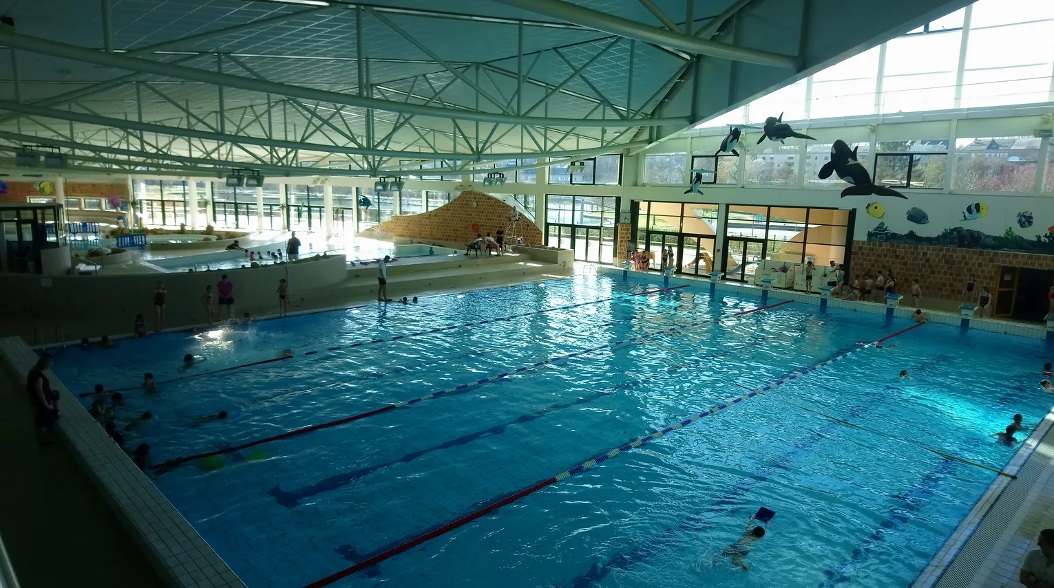 Venez relever le "défi de l'eau" samedi à la piscine de Charleville
