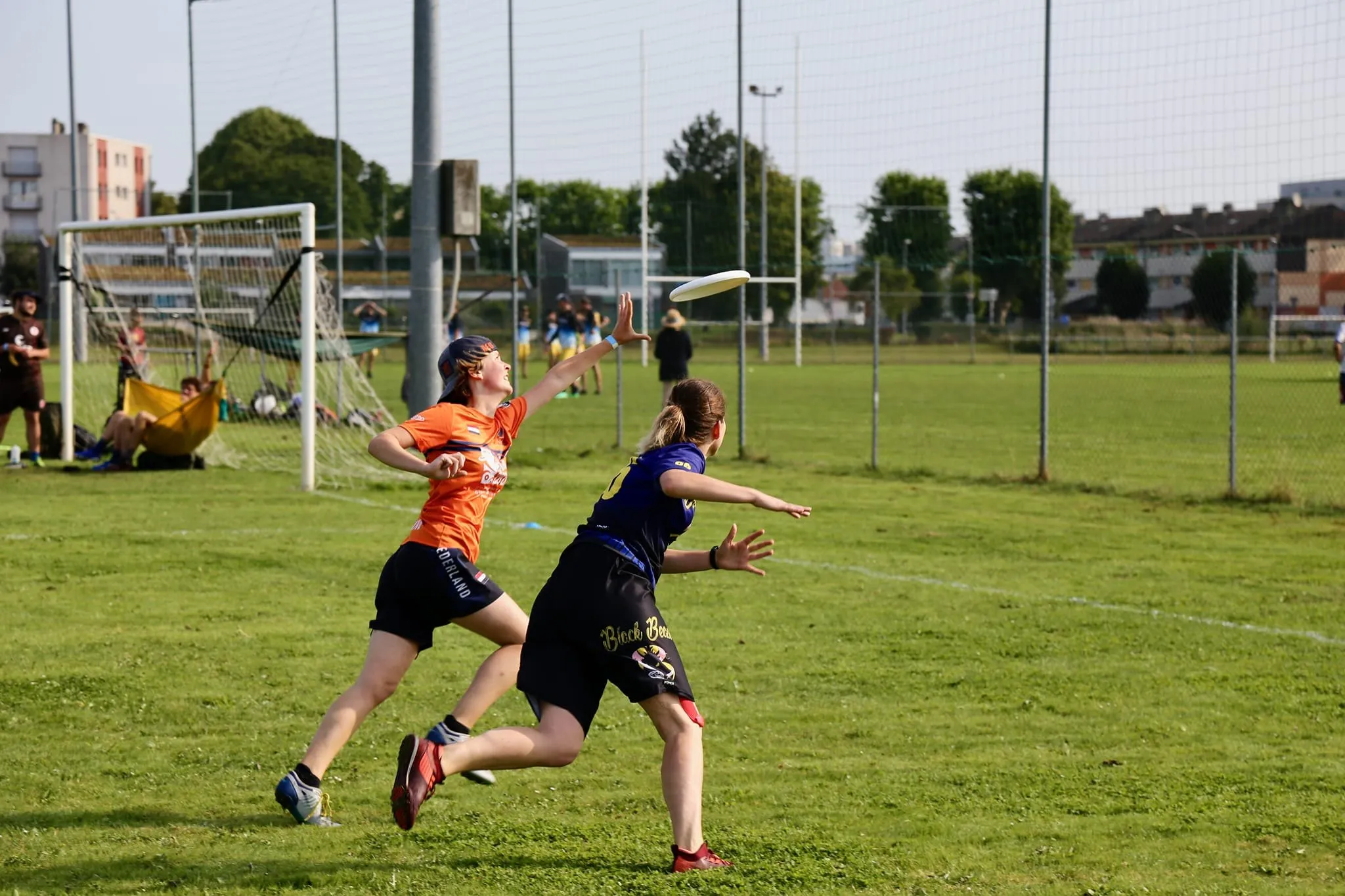 Zoom sur les BlackBeast, le club d'ultimate frisbee de Charleville