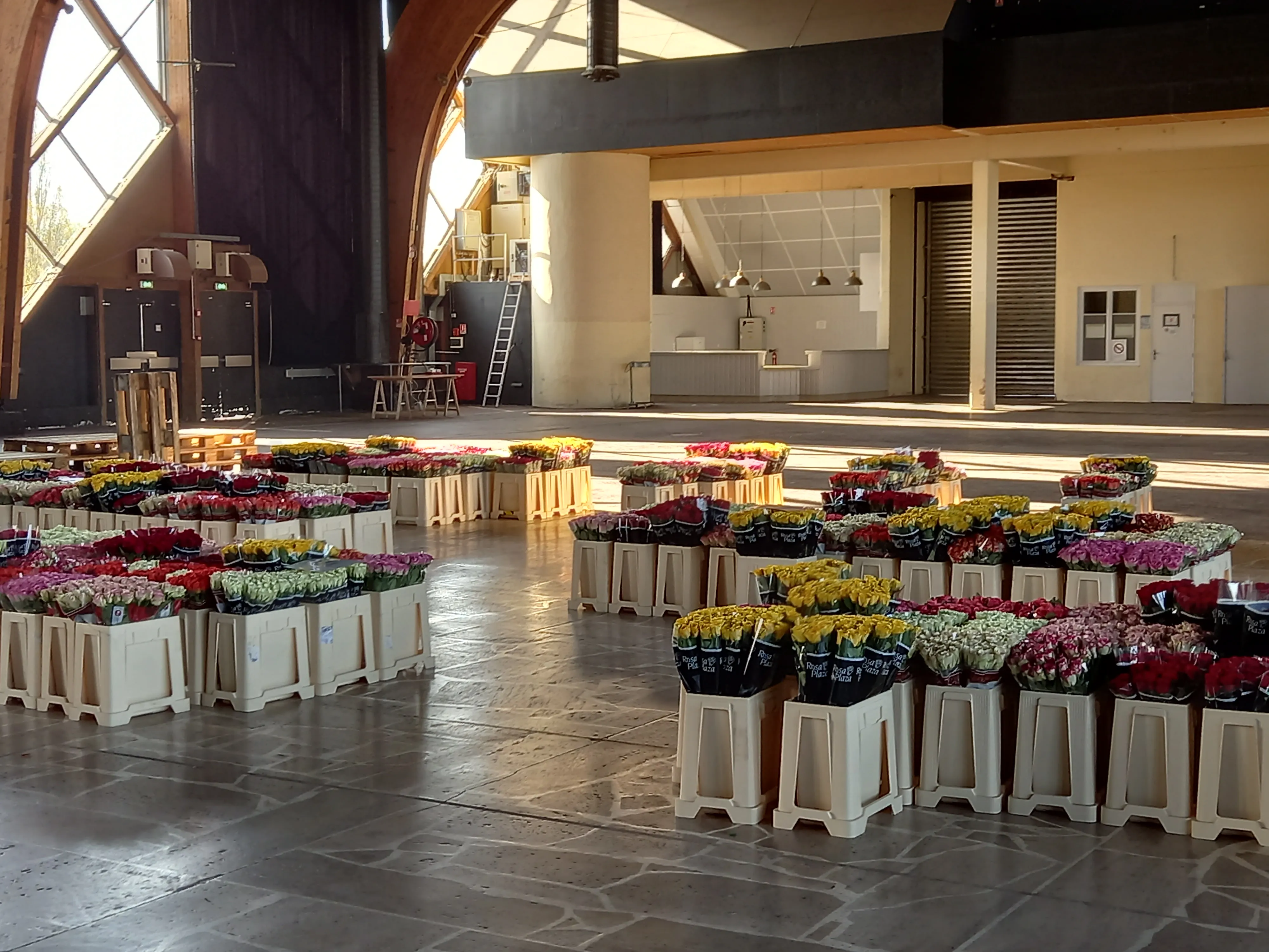 Plus de 27 000 roses emballées pour l'opération "Une rose un espoir"