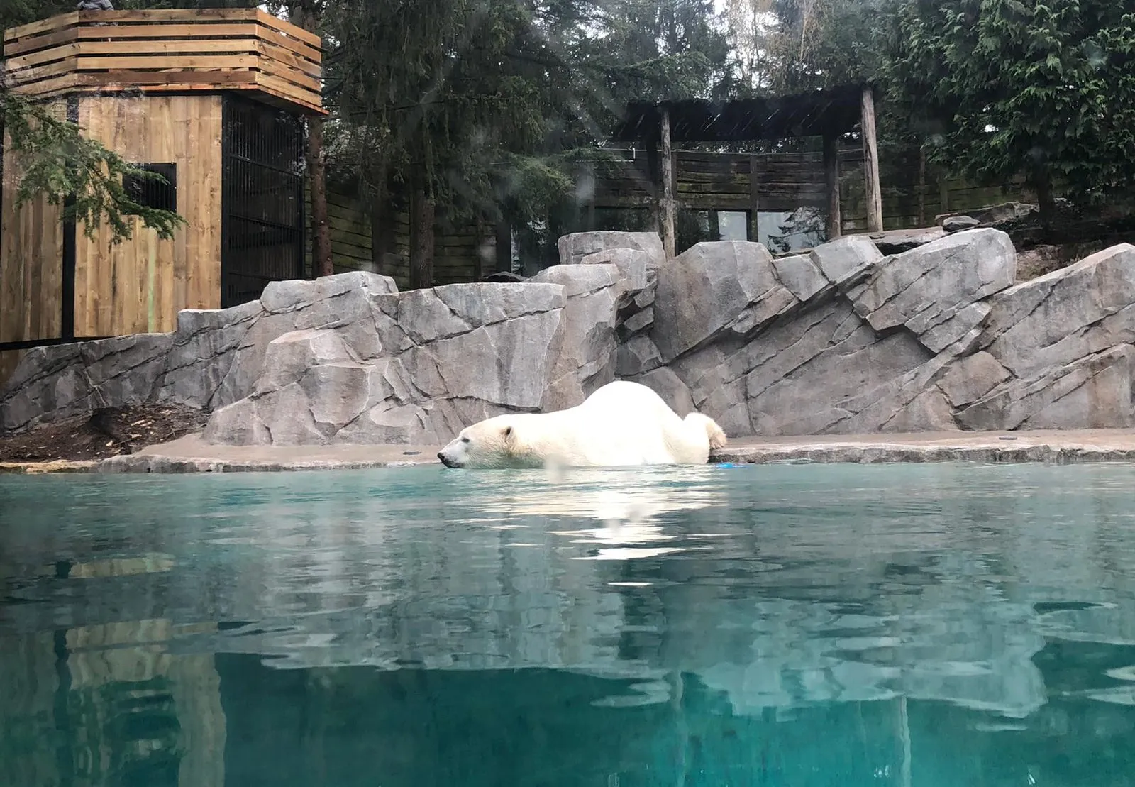 Lancement de la nouvelle saison au Parc Zoologique d’Amnéville