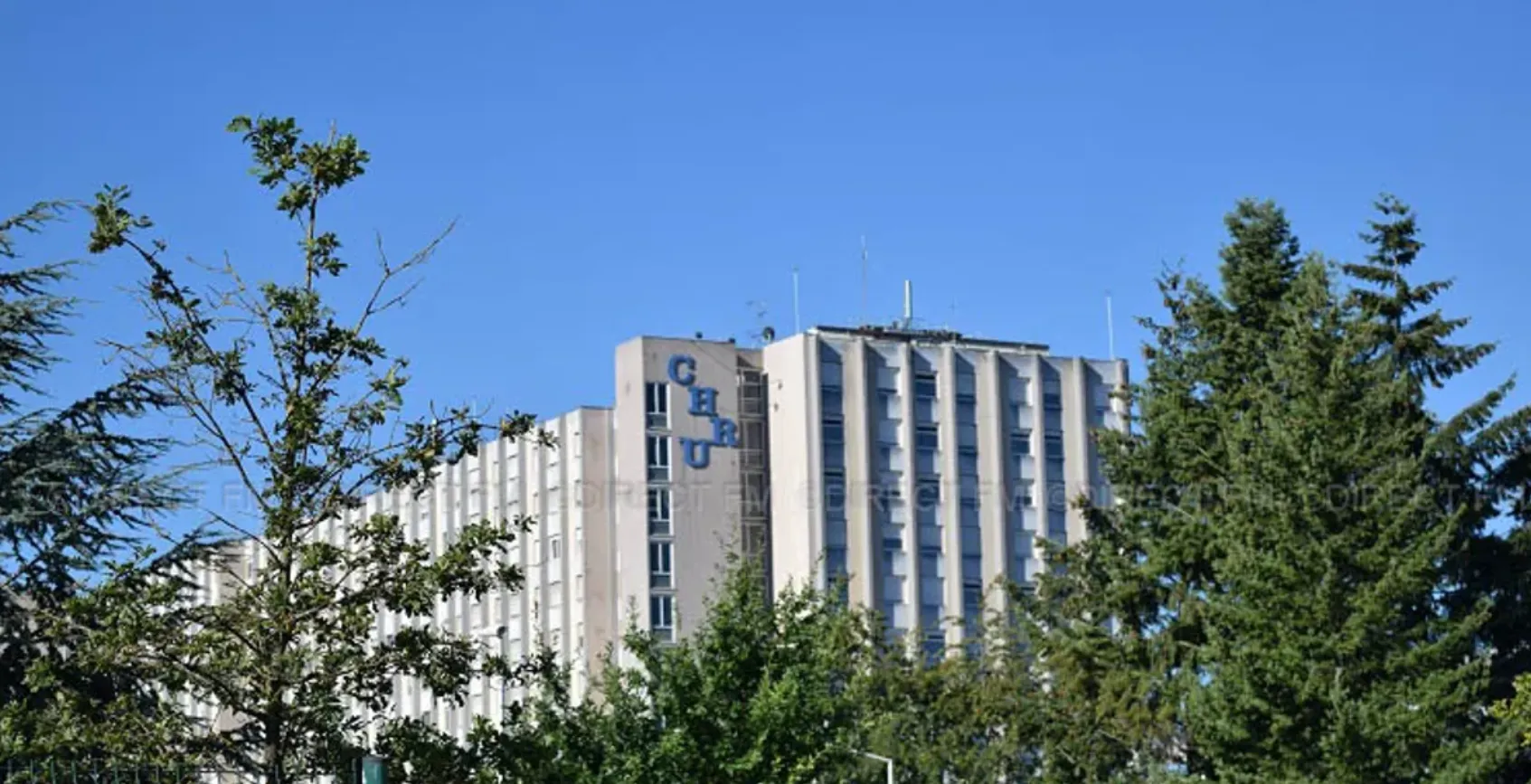 Le CHRU de Nancy labellisé « Hôpital ambassadeur du don d’organes