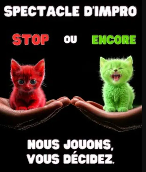 L'invité du jour : On vous dit tout sur "Stop ou encore"