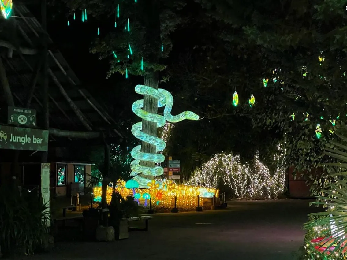 Zoo d'Amnéville : Beaucoup de monde pour cette première de Luminescences