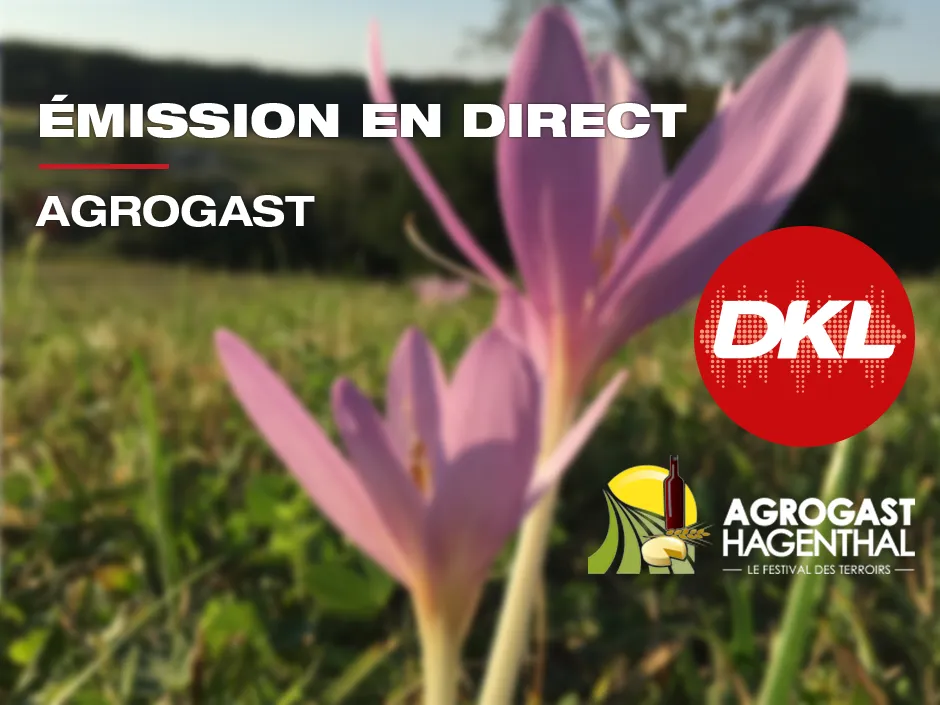 DKL - DKL en direct du festival des terroirs Agrogast à Hagenthal
