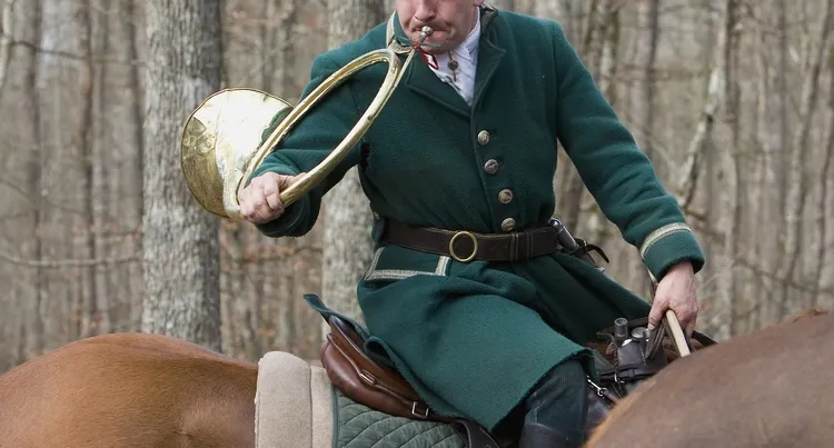 EVASION - Chasse à courre : un limier provoque un important sinistre ...