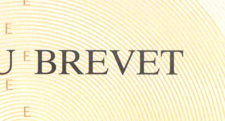 EVASION - Les résultats du brevet des collèges diffusés au compte-goutte