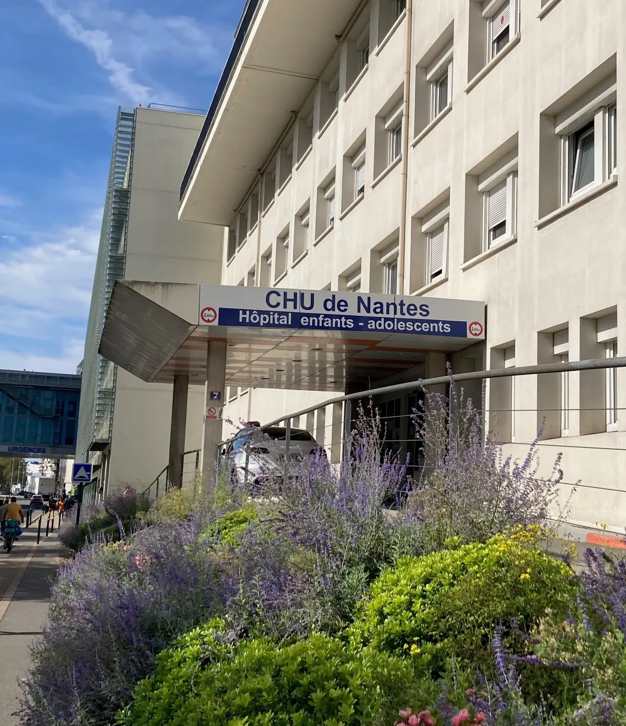 Bronchiolite. Début de l'épidémie en région Pays de la Loire - HIT WEST