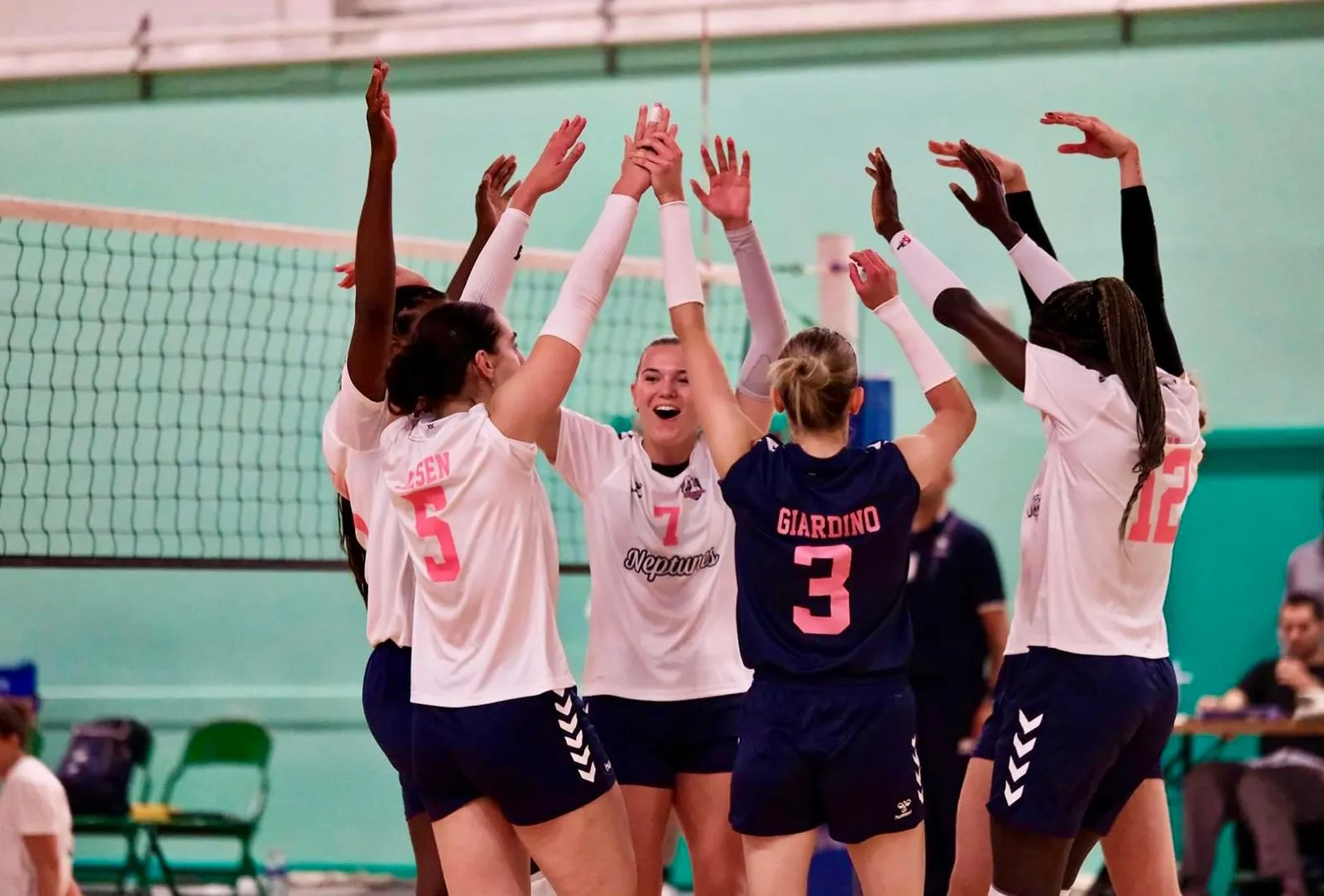 Volley : survivre pour gagner, le pari des Neptunes de Nantes - OCEANE