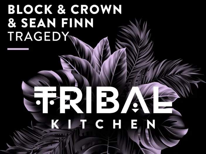 RADIO FG Coup de cœur FG : Sean Finn et Block & Crown s’associent pour revisiter ce tube des Bee ...