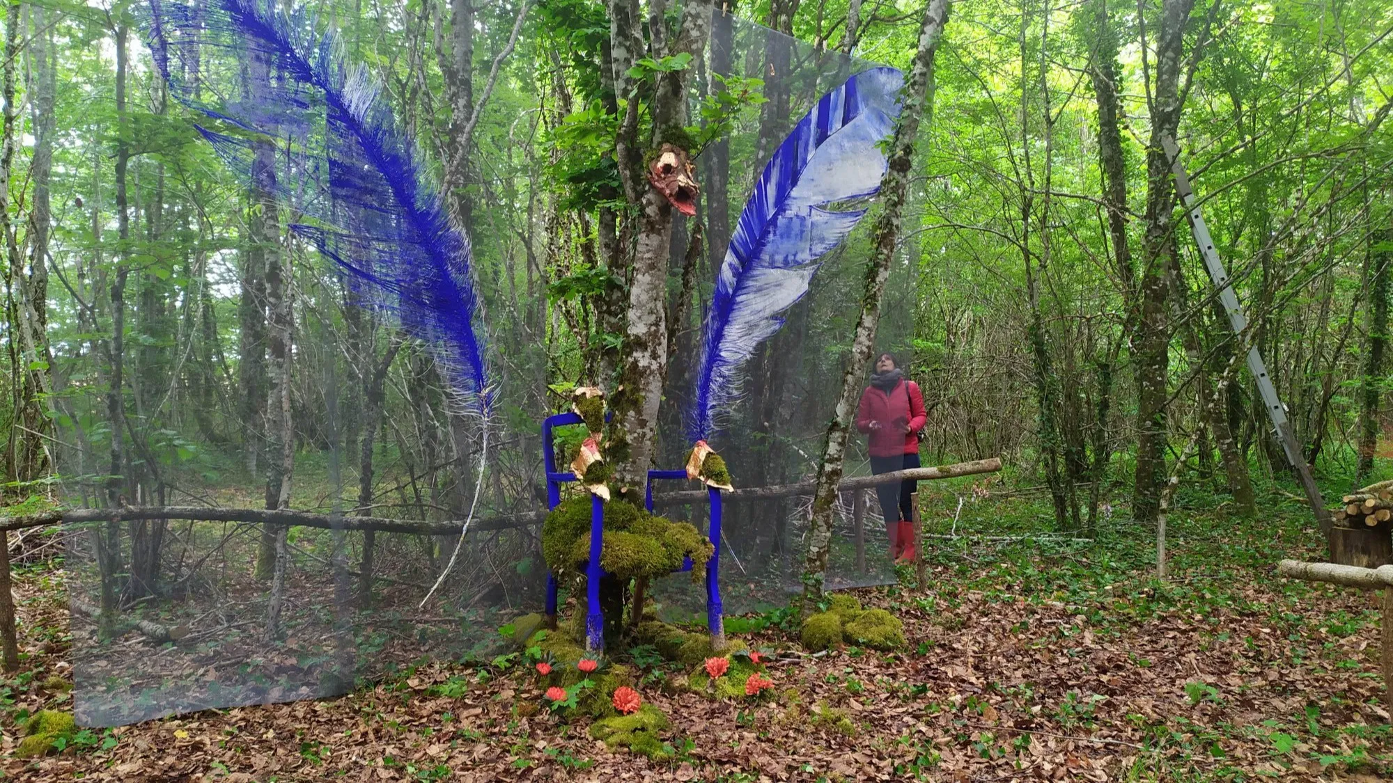 A la découverte de la Forêt des Géants verts