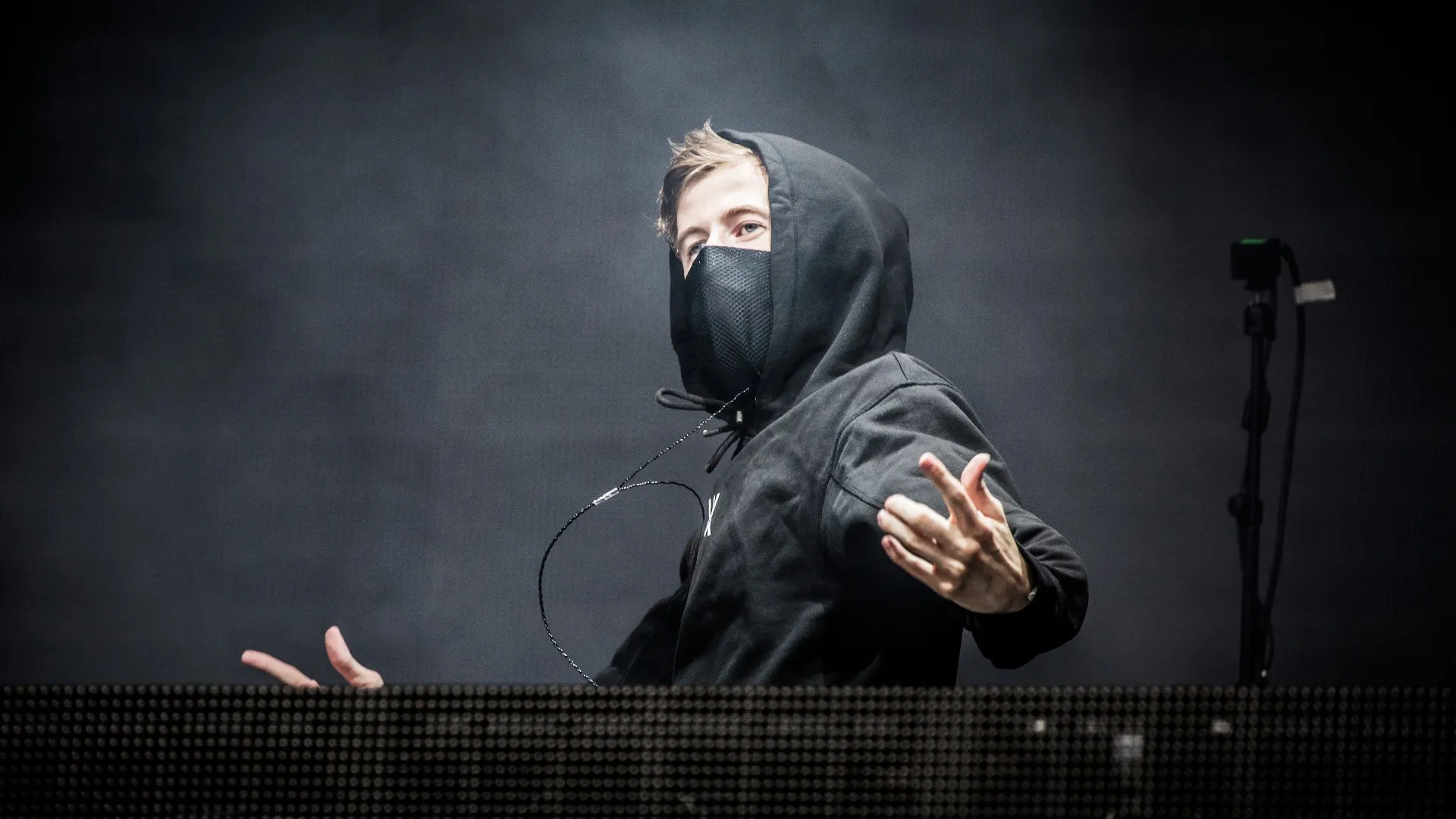 Alan Walker travaille sur une chanson avec Martin Garrix