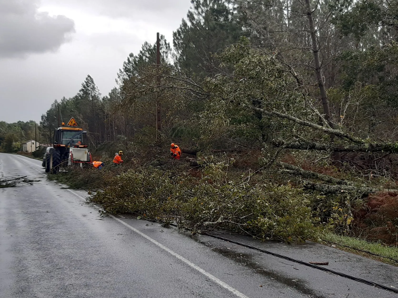 Tempête Ciaran : les premiers dégâts en Gironde et en Dordogne