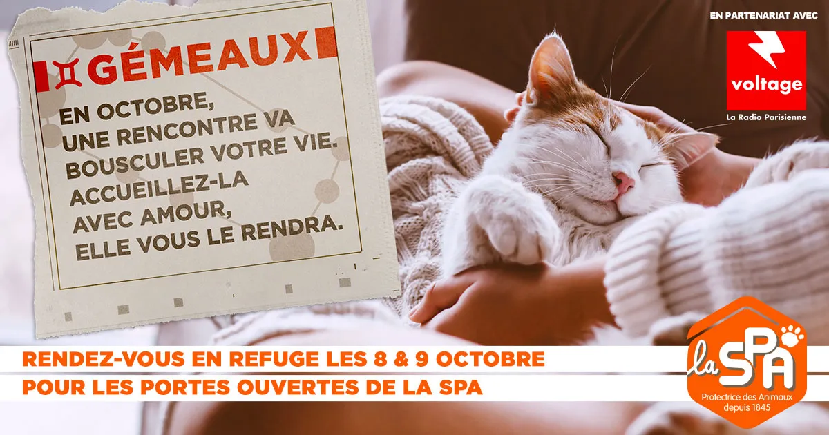 Les refuges franciliens de la SPA vous attendent pour des journées ...