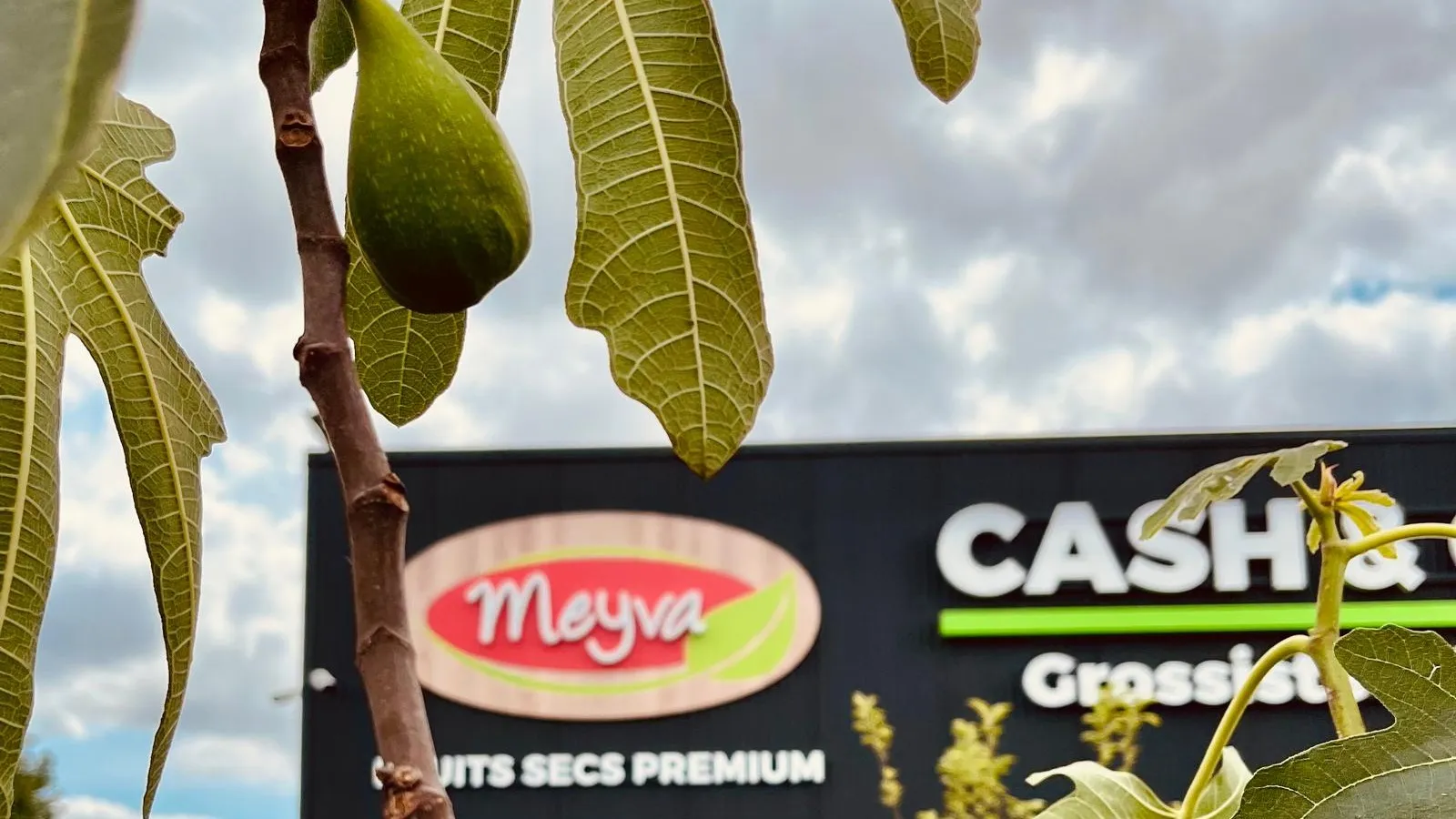 Meyva ouvre son Cash & Carry à Bordeaux-Lac - WIT FM