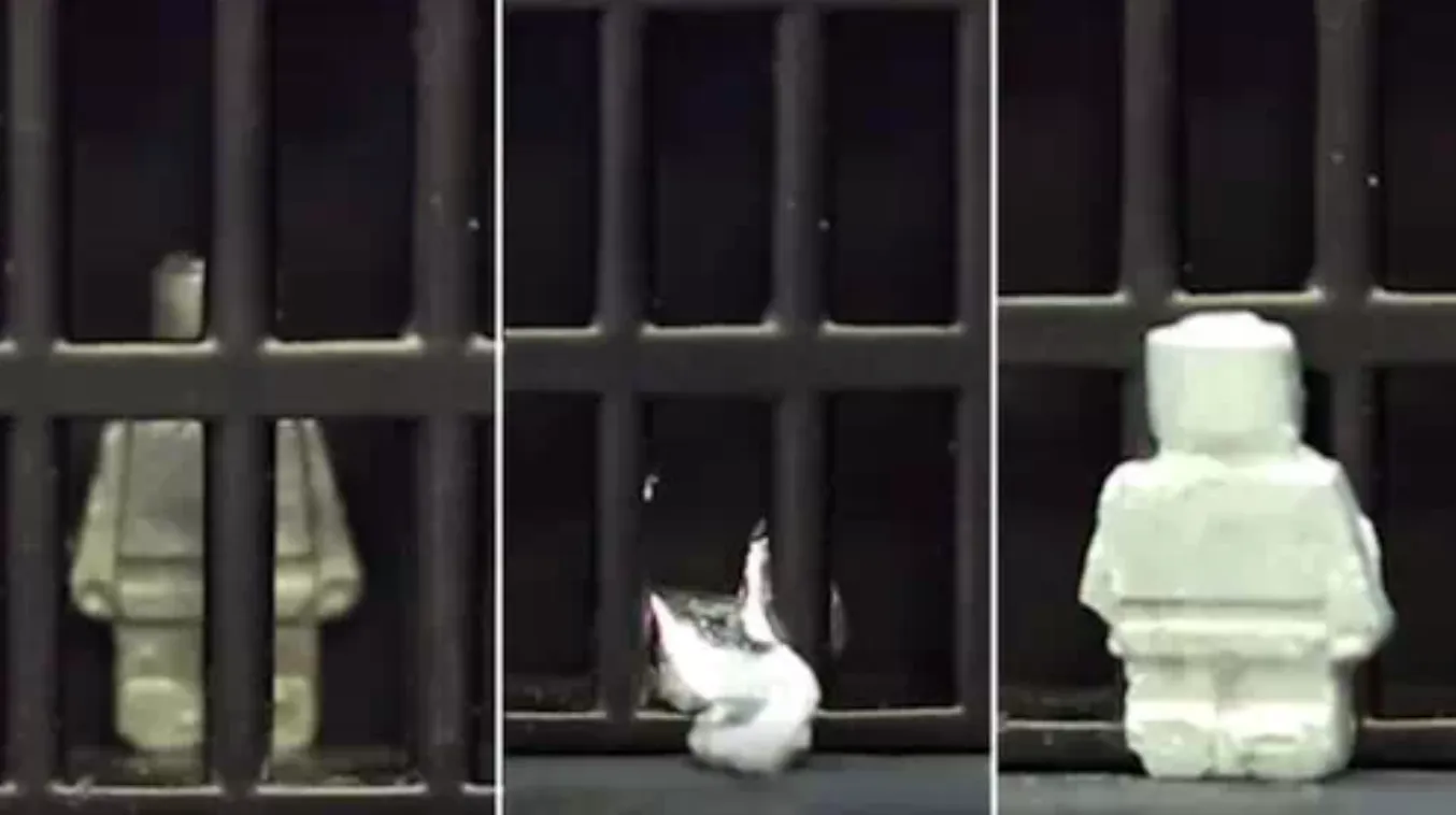 Les scientifiques viennent-ils de créer un robot capable de se ...