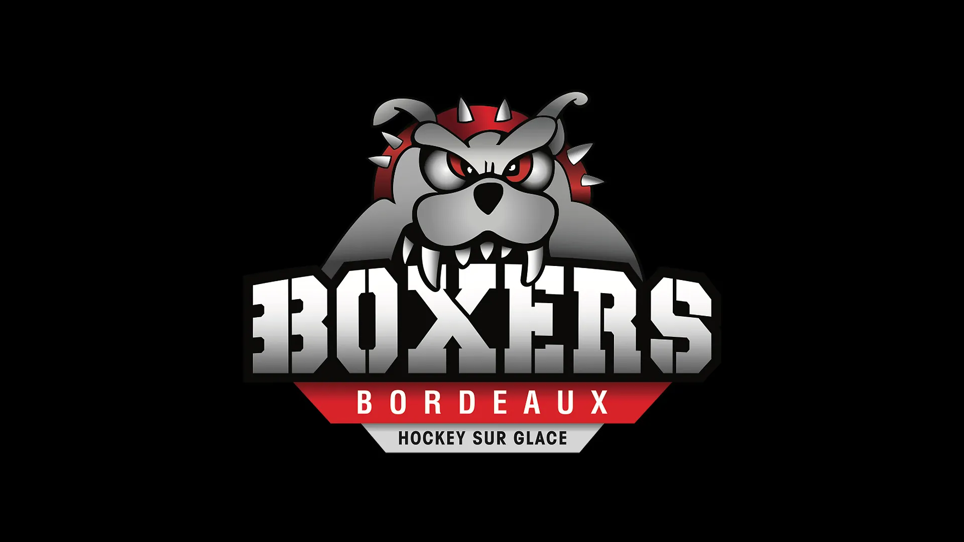 L'actualité des Boxers de Bordeaux : calendrier, résultats, matchs