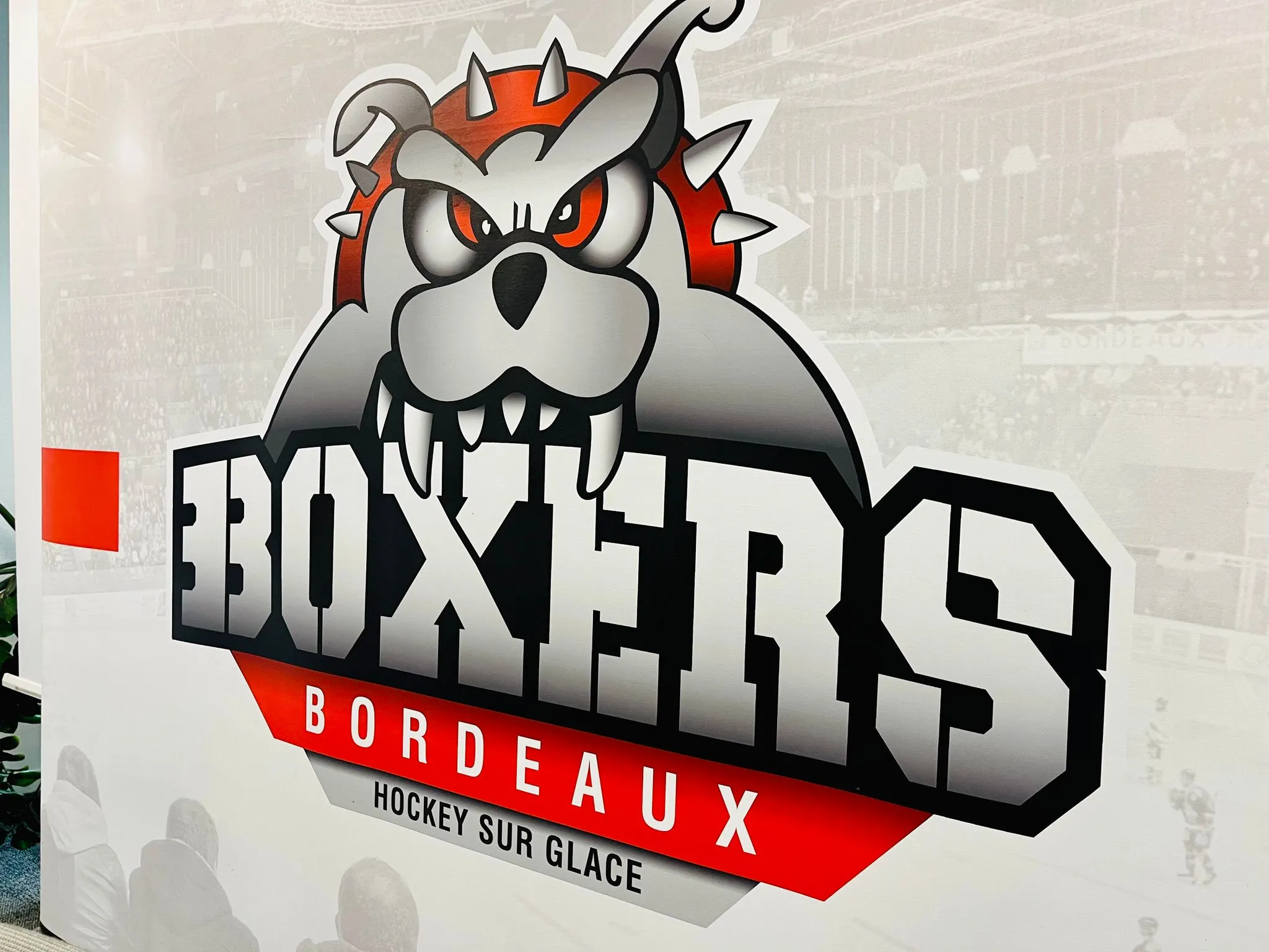 Gagnez vos places pour Boxers de Bordeaux - Ducs d'Angers - ARL