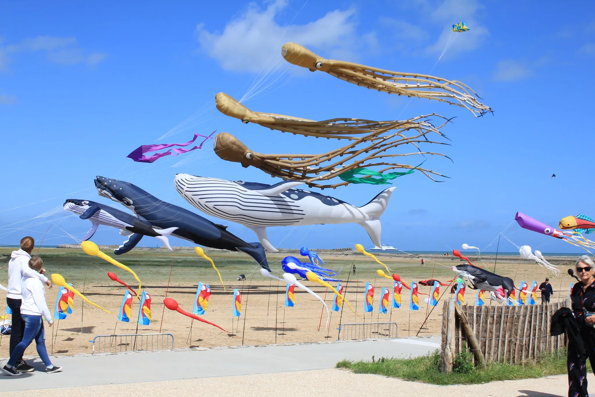 Déjà le 10e Festival de cerfs-volants à Grand-Fort-Philippe