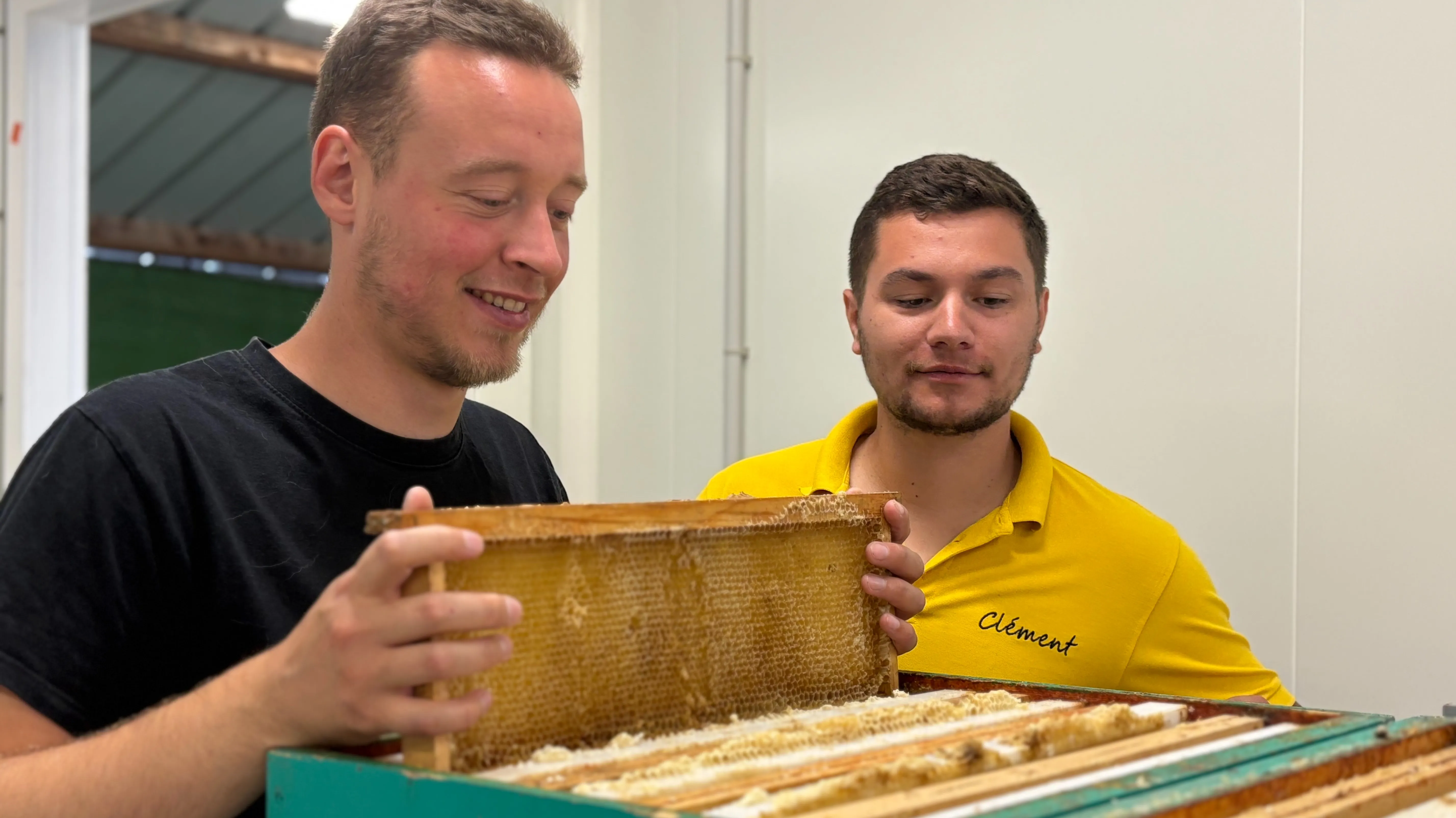 Une miellerie voit le jour à Witternesse