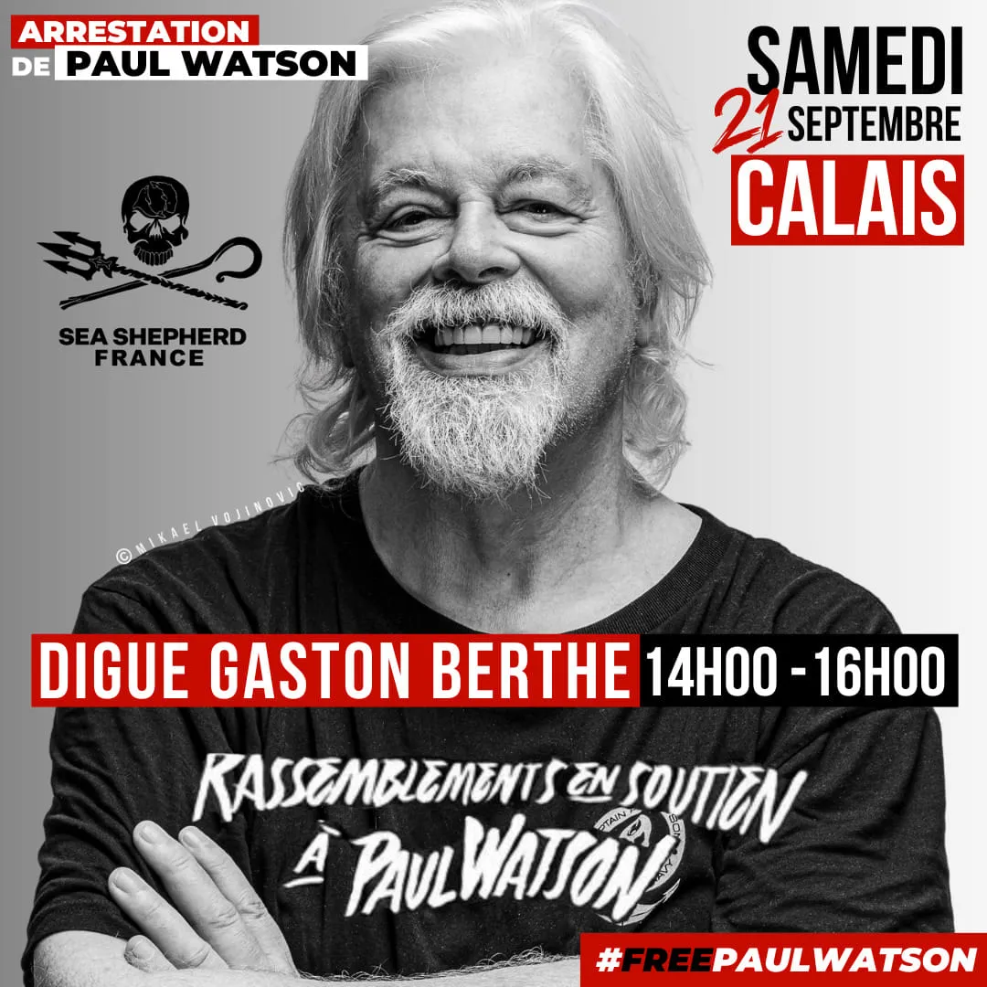 Une manifestation à Calais cet après-midi, par Sea Sheperd, pour ...