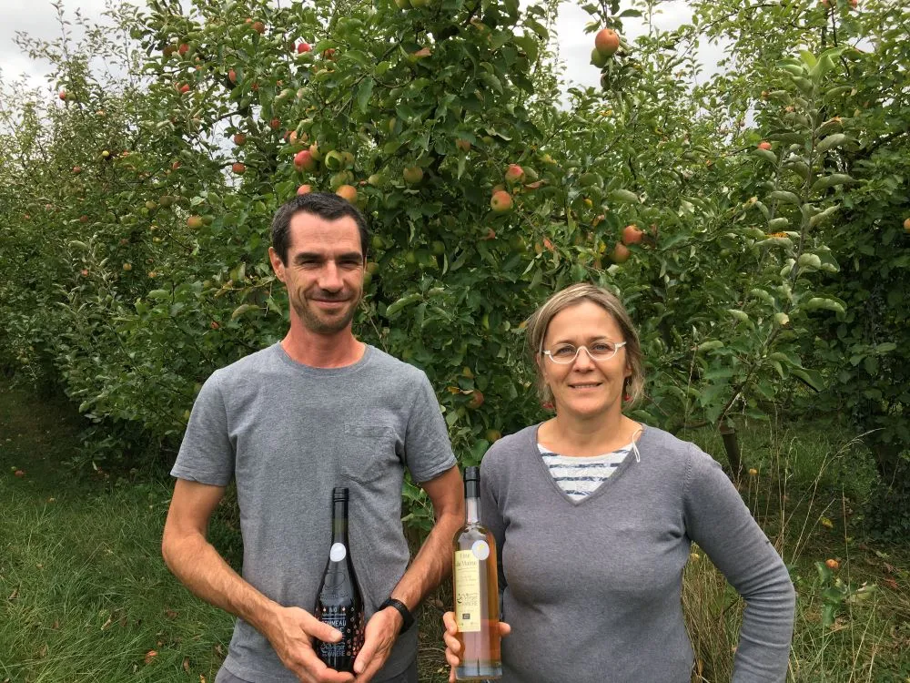 Aviré. Dans les vergers, des pommes moins grosses à cause de la sécheresse