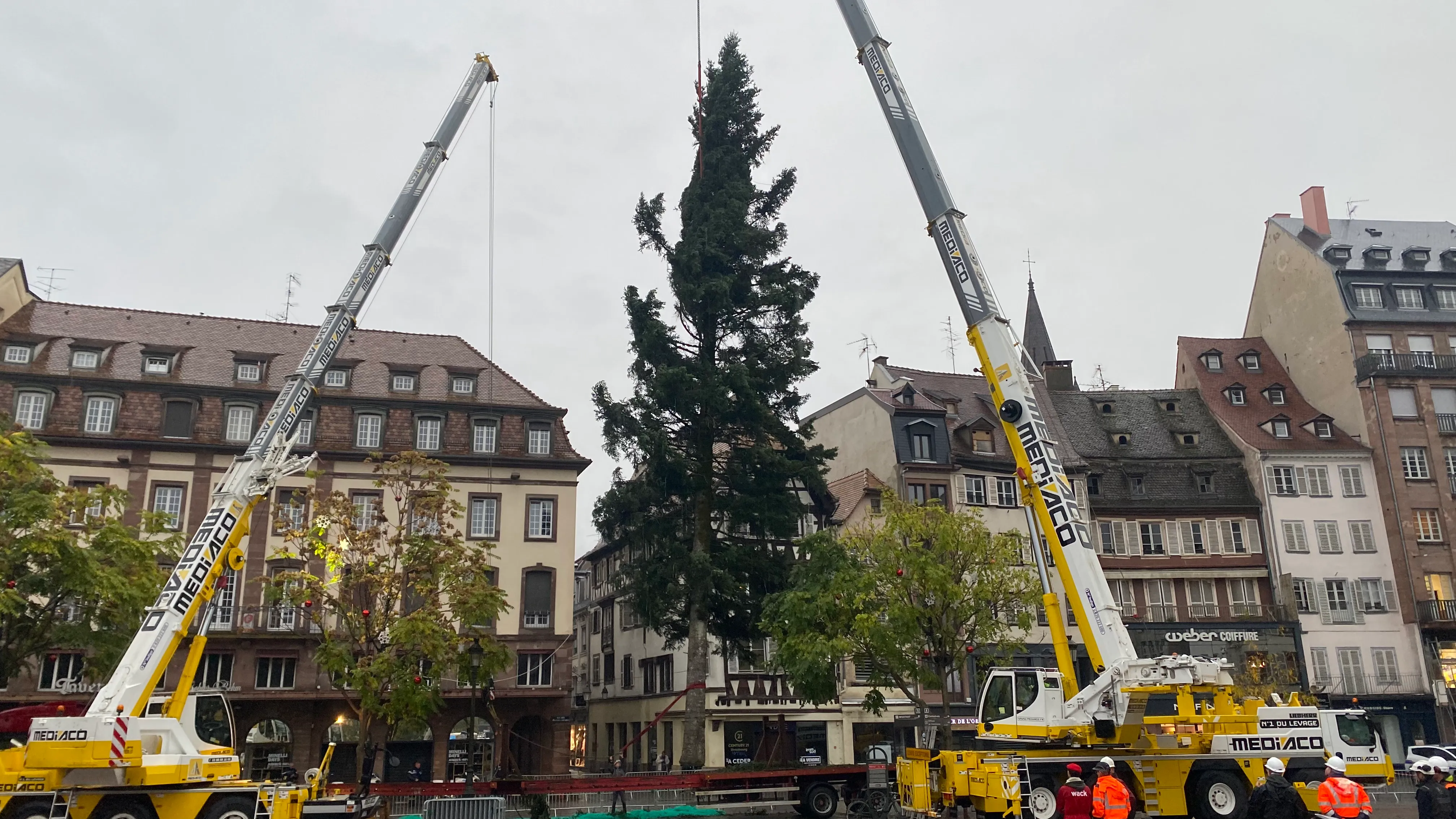 Le grand sapin de Noël installé à Strasbourg