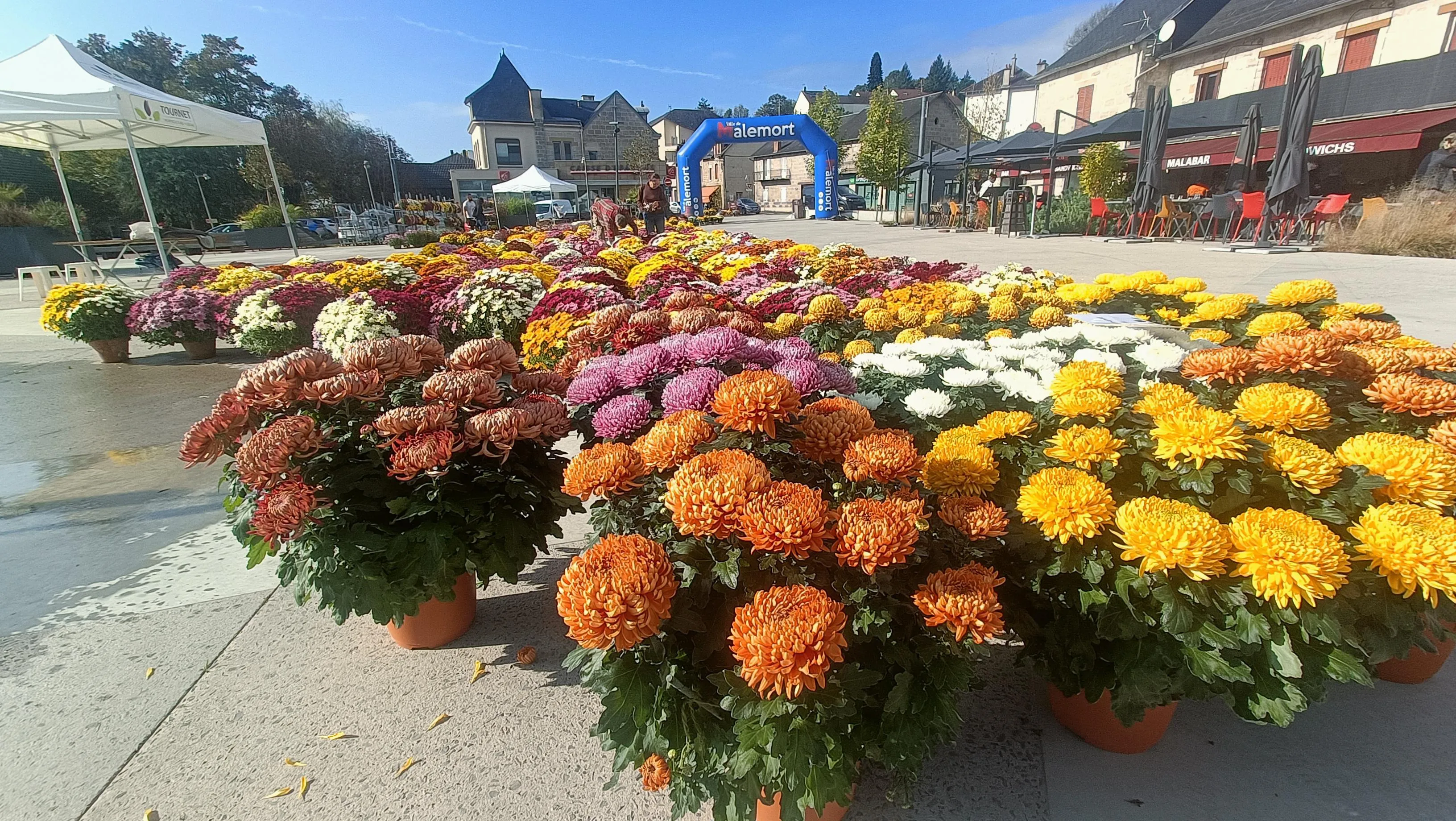 TOTEM - Un drive-chrysanthèmes à Malemort
