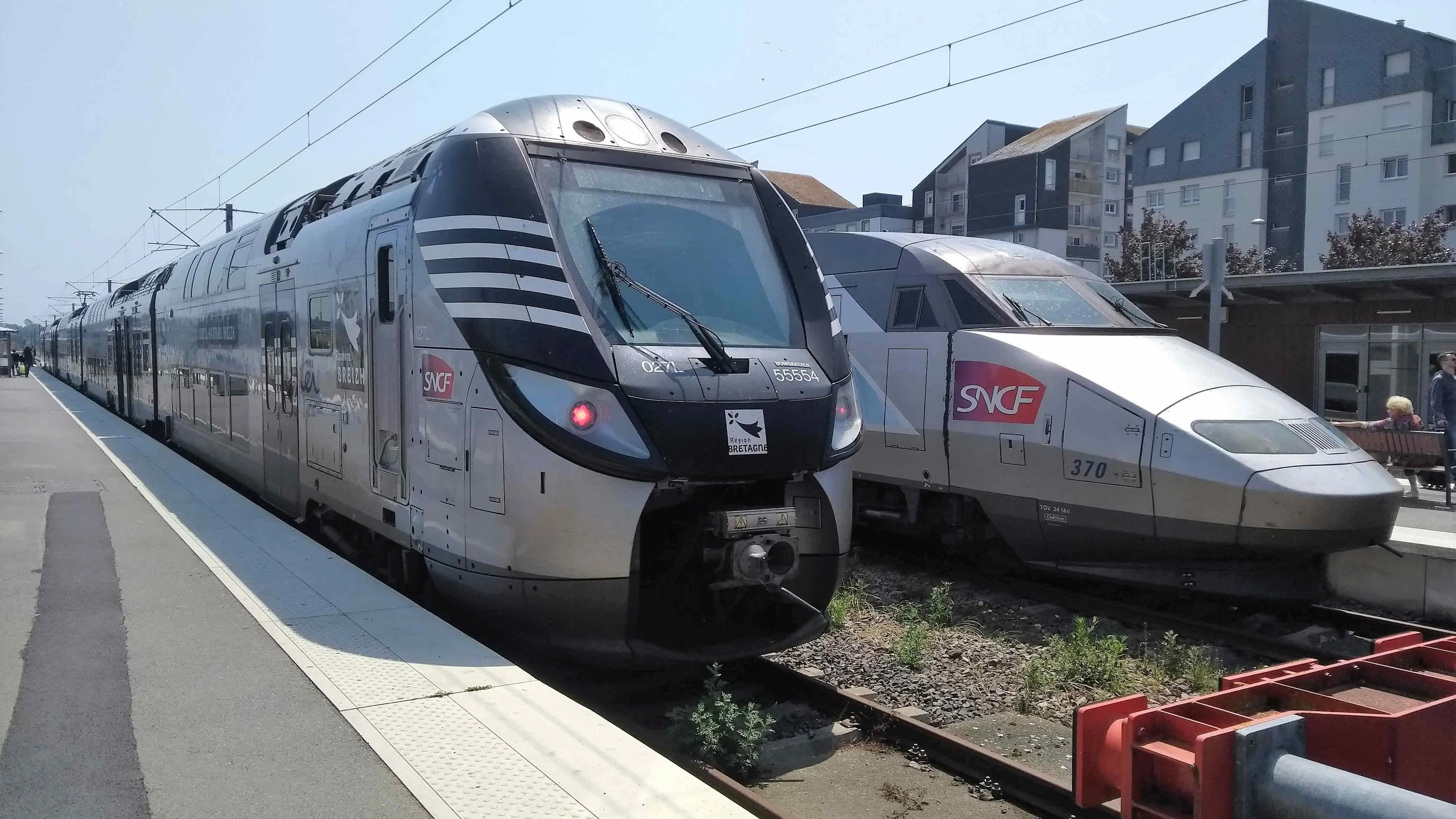 Le trafic SNCF paralysé dans le sud Bretagne par une souche d’arbre - RCA