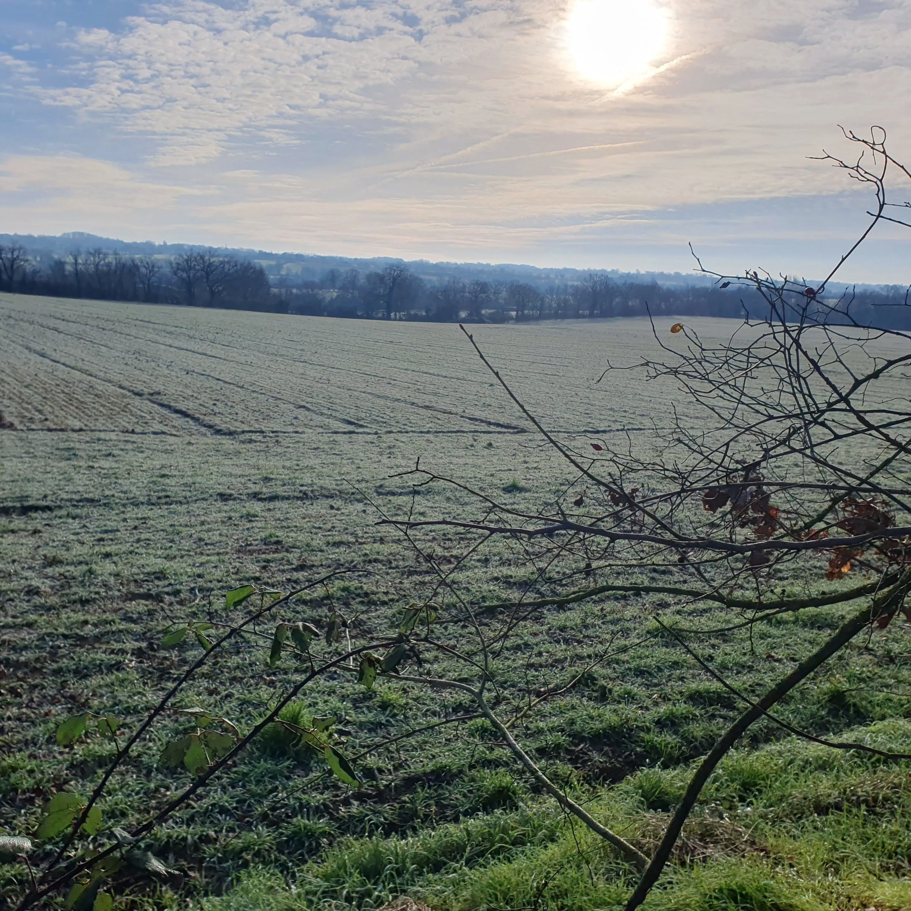 Replay - COLLINES LA RADIO