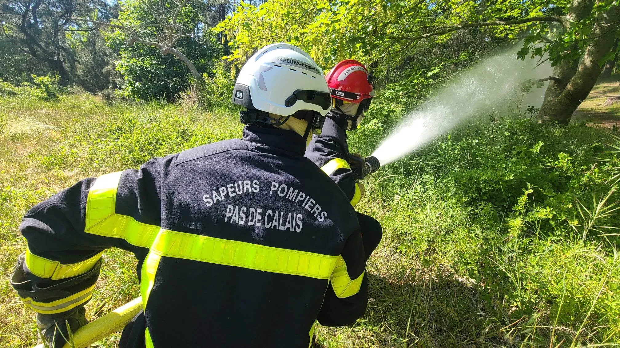 12 sapeurs-pompiers de la région formés aux interventions sur les feux ...