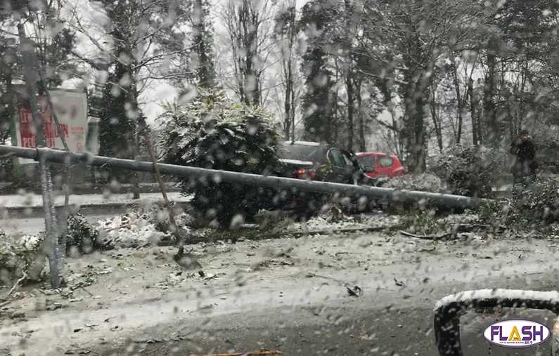 FLASH FM - A cause de la neige : Glissage et Accident sur le Boulevard ...