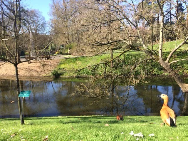 Les vastes parcs angevins et nantais récompensés. - HIT WEST