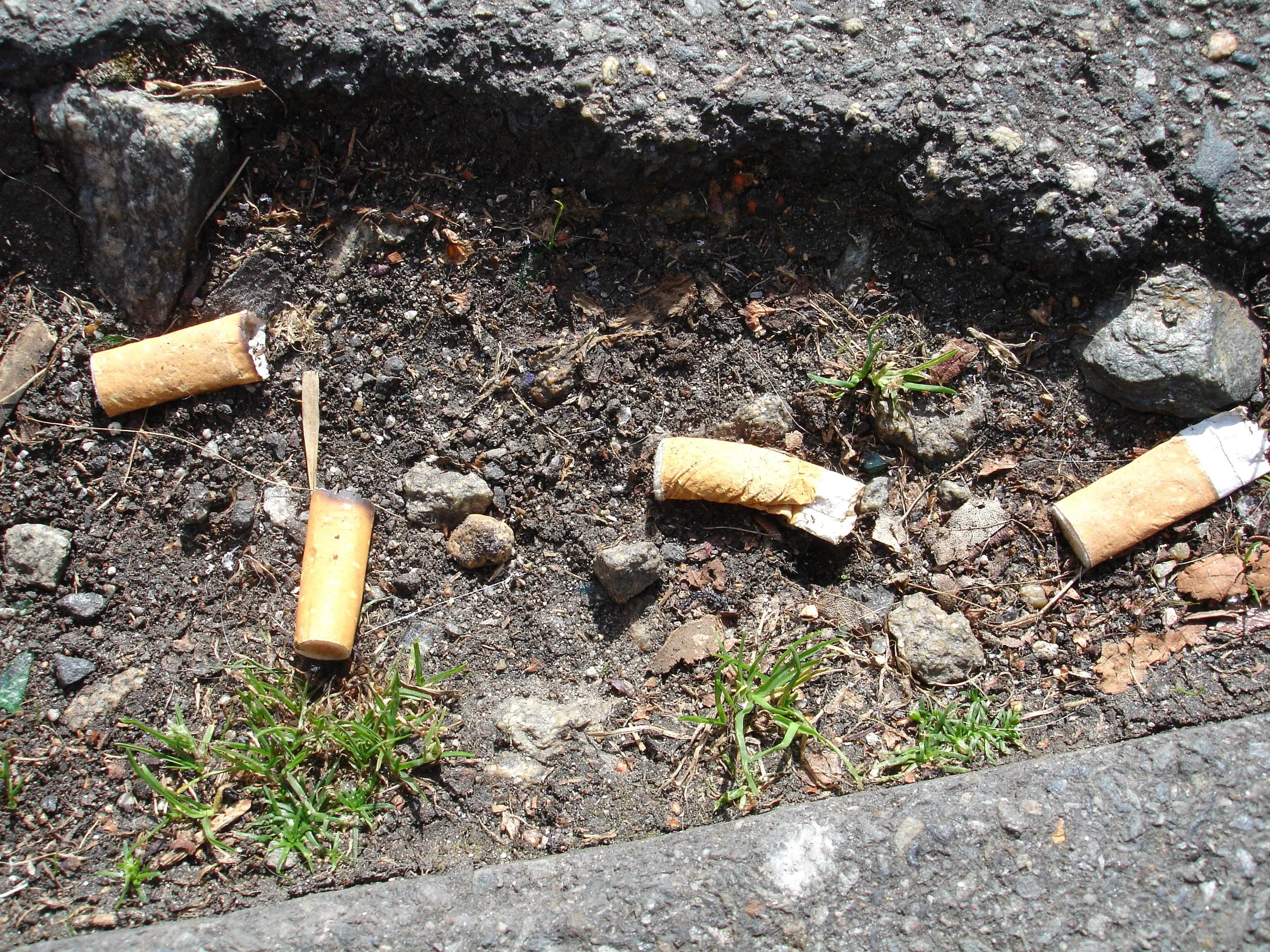 Et si on écrasait la dernière clope ? - HIT WEST