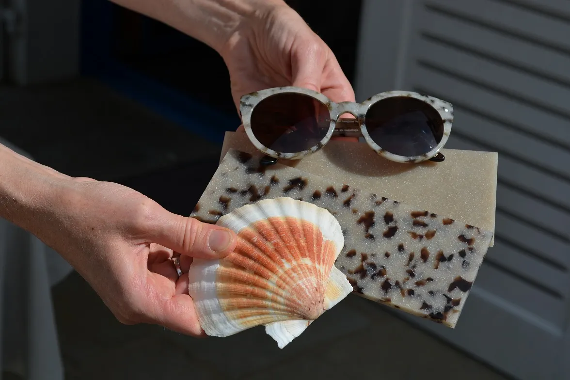 Des lunettes en coquillages et crustacés ... - HIT WEST