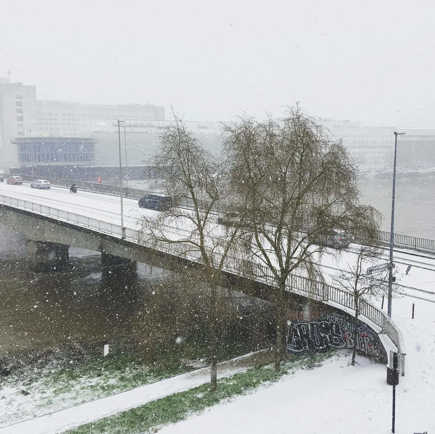 La neige arrivée en surprise à Nantes, et ailleurs dans l'Ouest - HIT WEST
