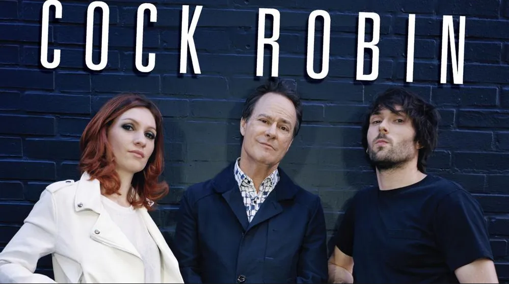 Cock Robin en concert à Chevigny-Saint-Sauveur