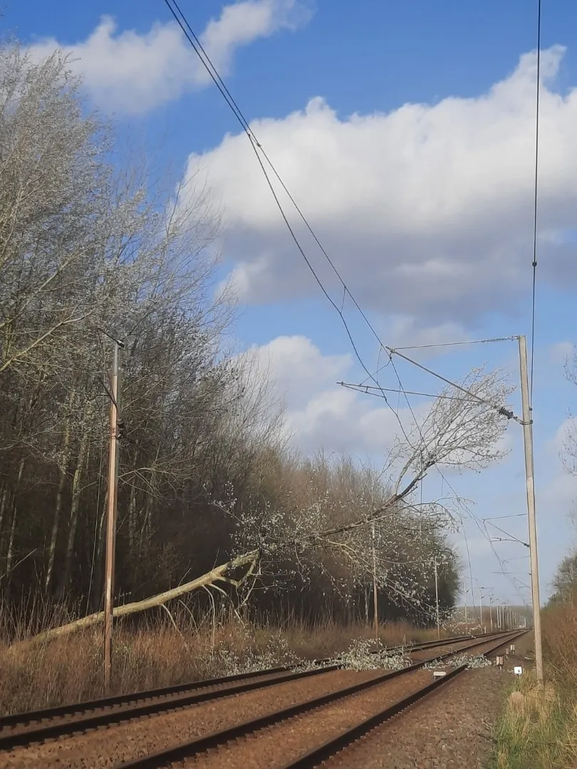 SNCF : la circulation interrompue entre Douai et Valenciennes