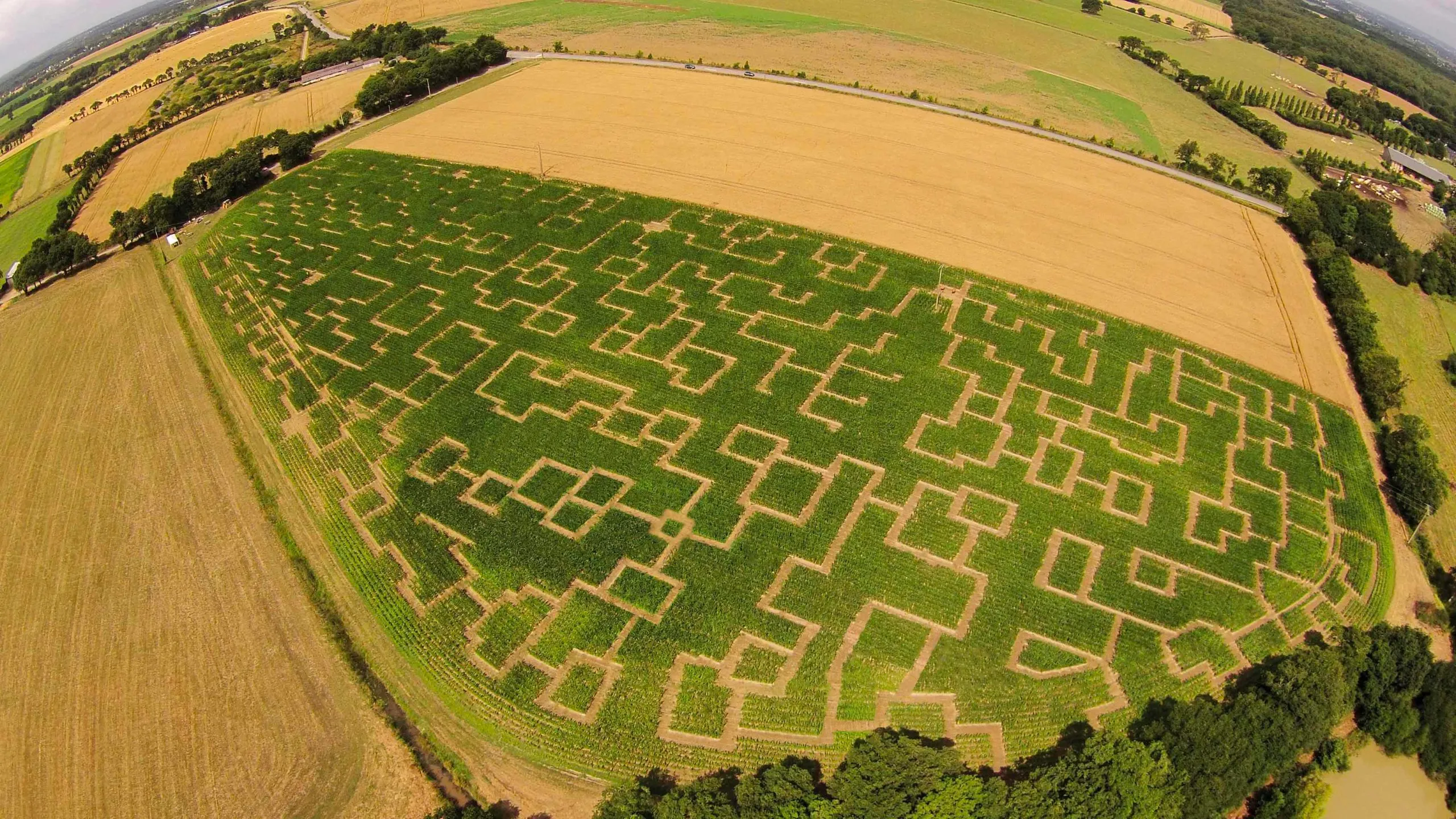 Pop Corn Labyrinthe - OCEANE