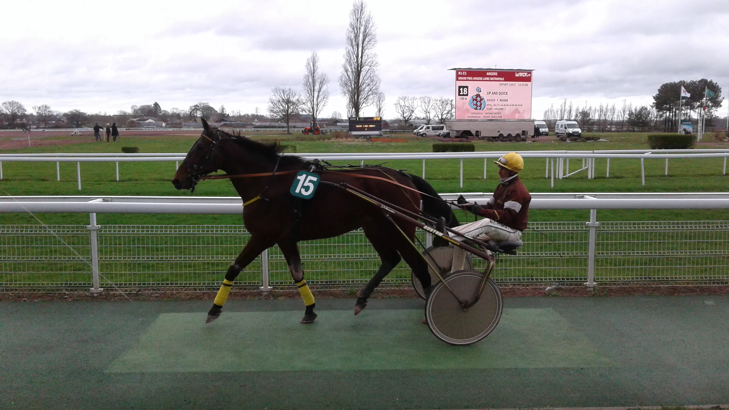 Hippisme : nos préférés pour ce samedi 28 janvier