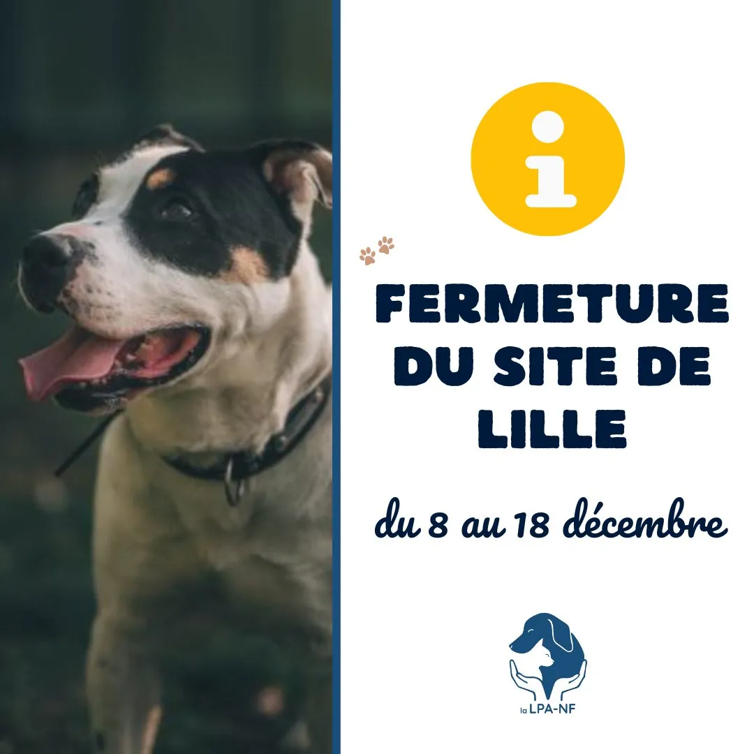 METROPOLYS : La LPA de Lille fermée jusqu'au 18 décembre