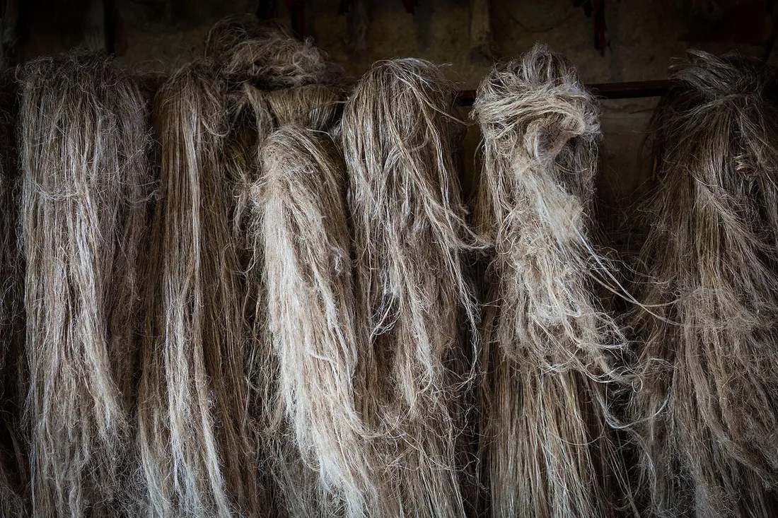 EVASION - Les matériaux biosourcés occupent une part toujours plus ...