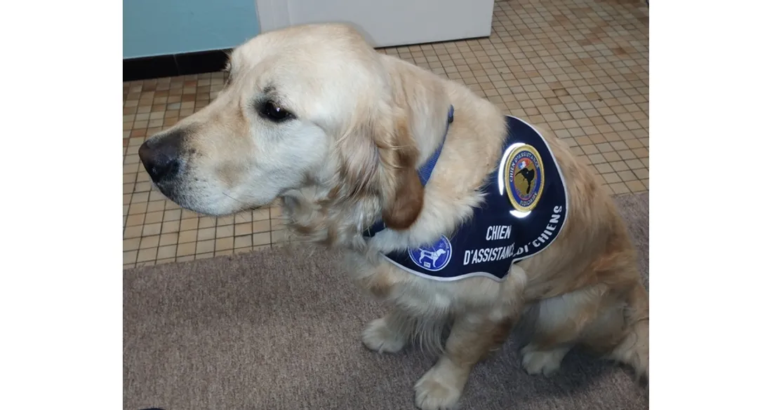 EVASION - Un assistant qui a du chien en Eure-et-Loir