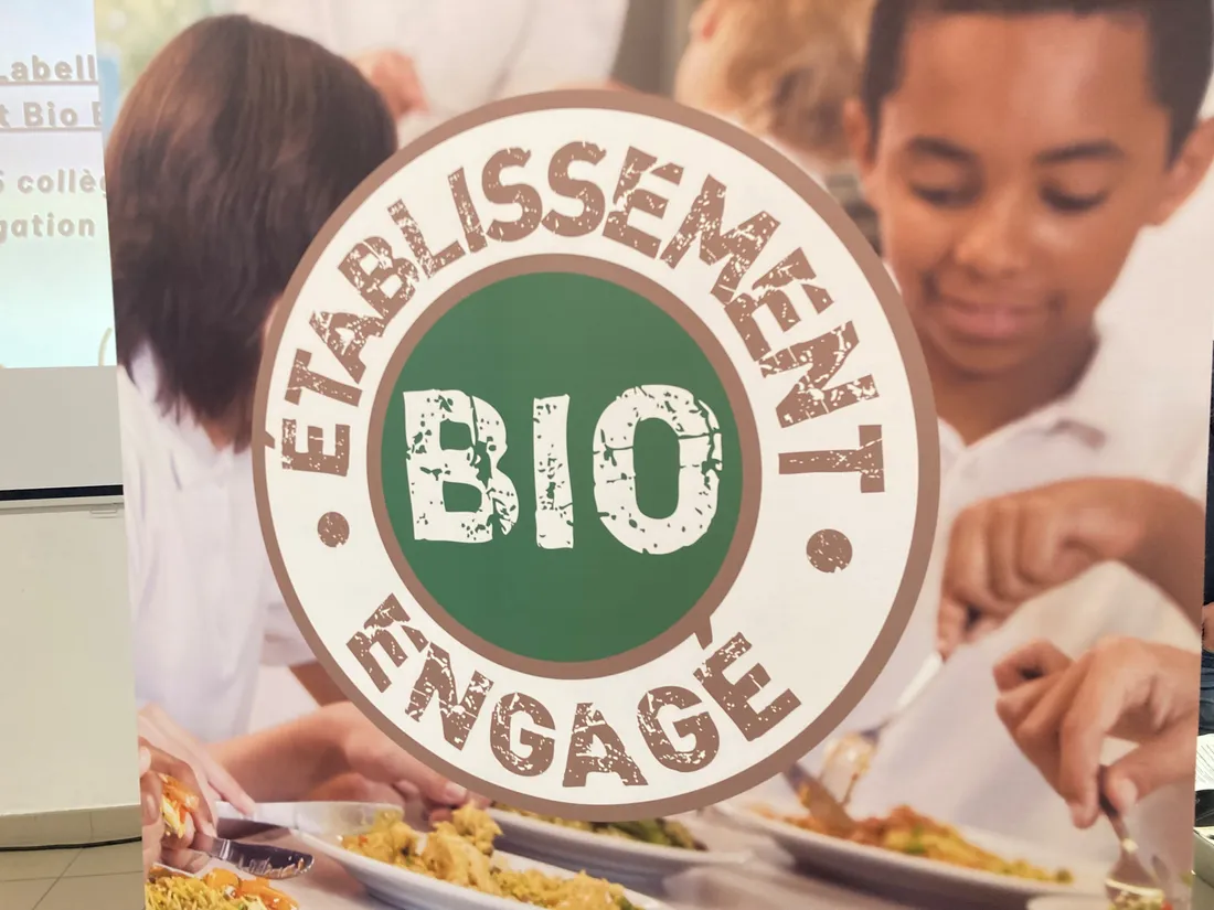 Vignoble. Cinq collèges de Loire-Atlantique labellisés "Etablissement ...