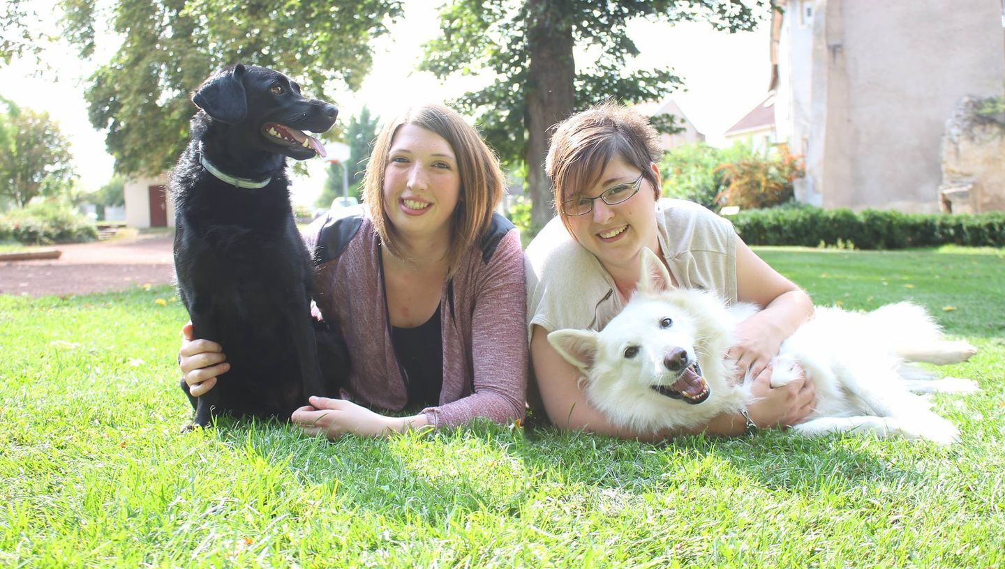 Une crèche pour chiens a ouvert en Lorraine