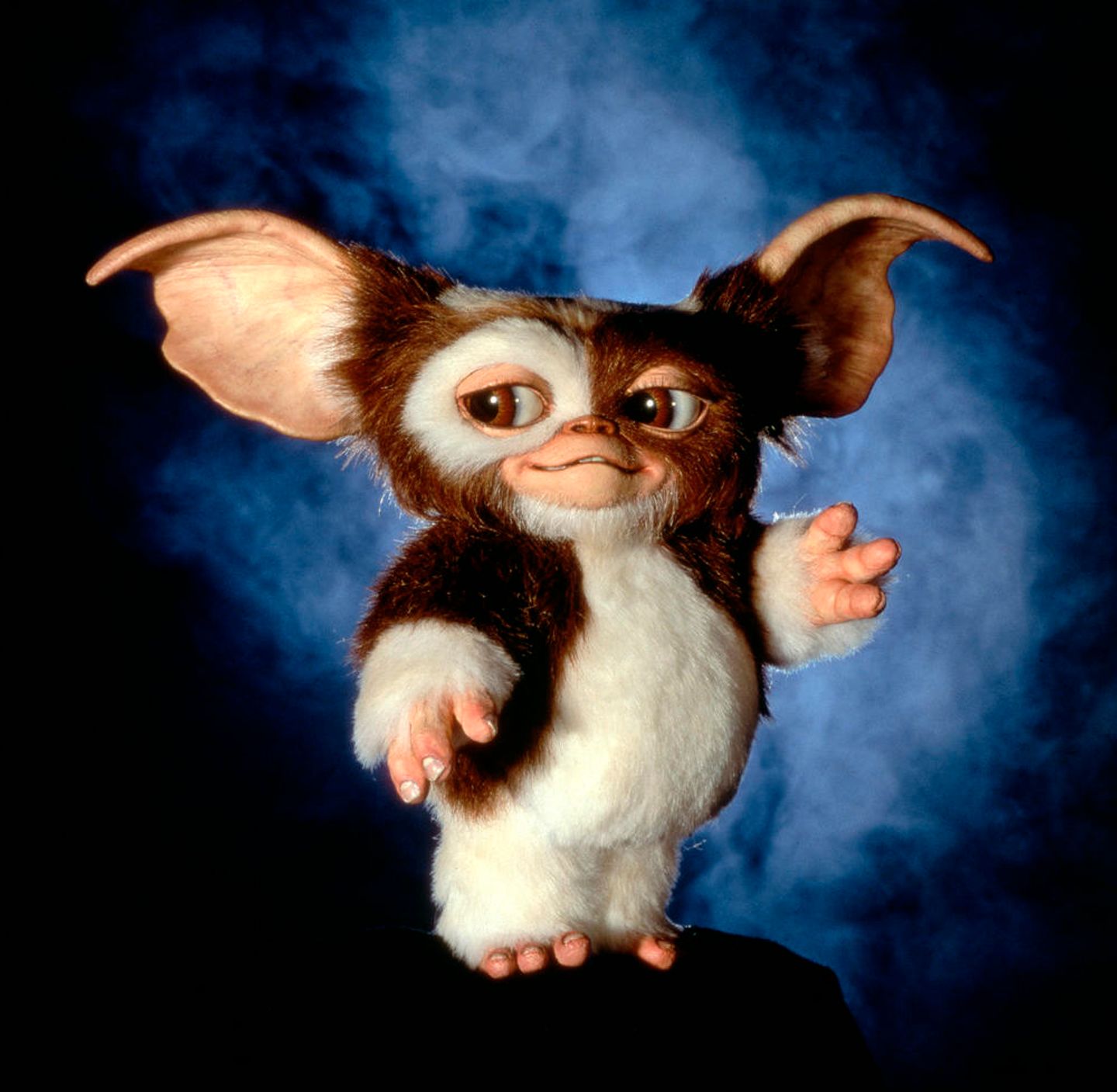 Les Gremlims sont de retour ! - VOLTAGE