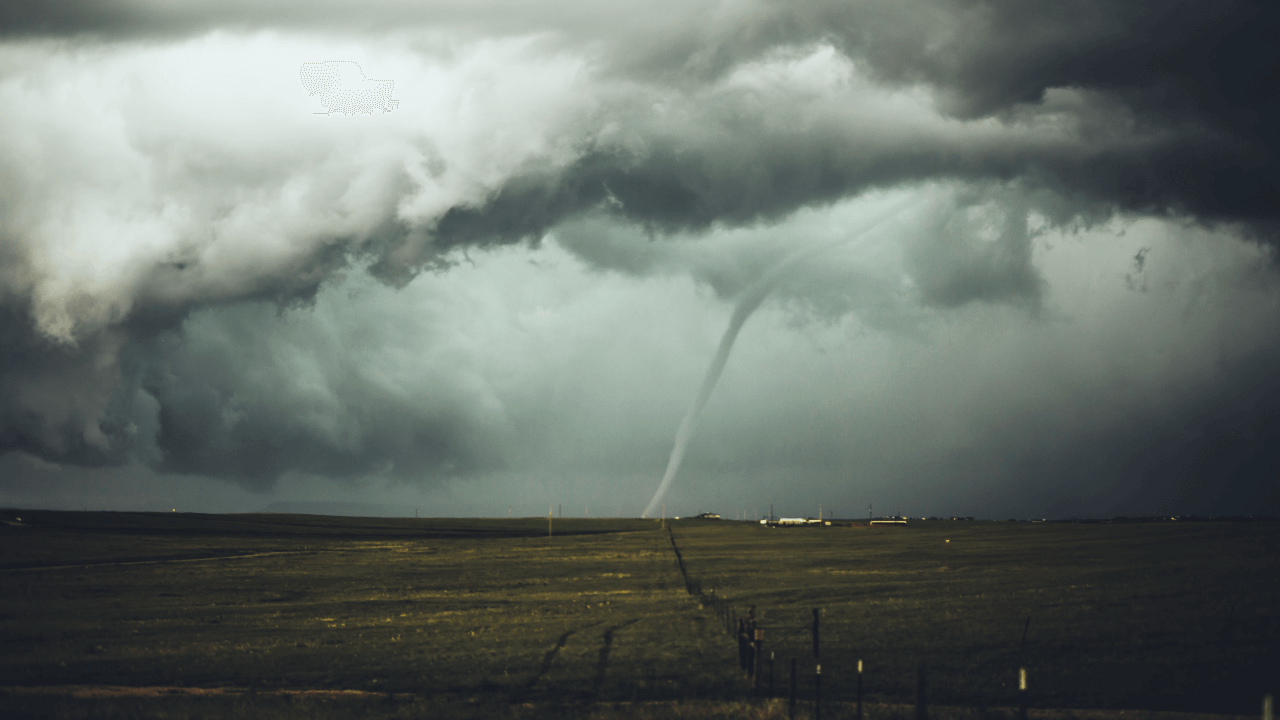 Des dizaines de morts dans des tornades destructrices aux États-Unis