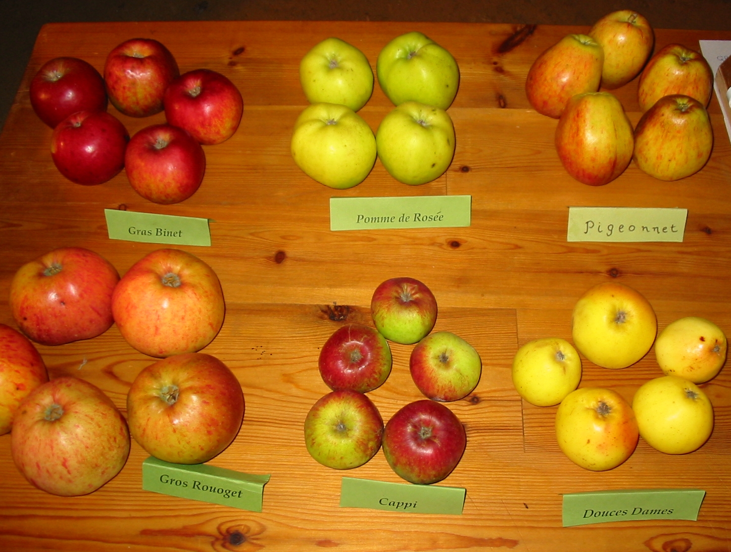 Pourquoi importe-t-on encore des pommes en France