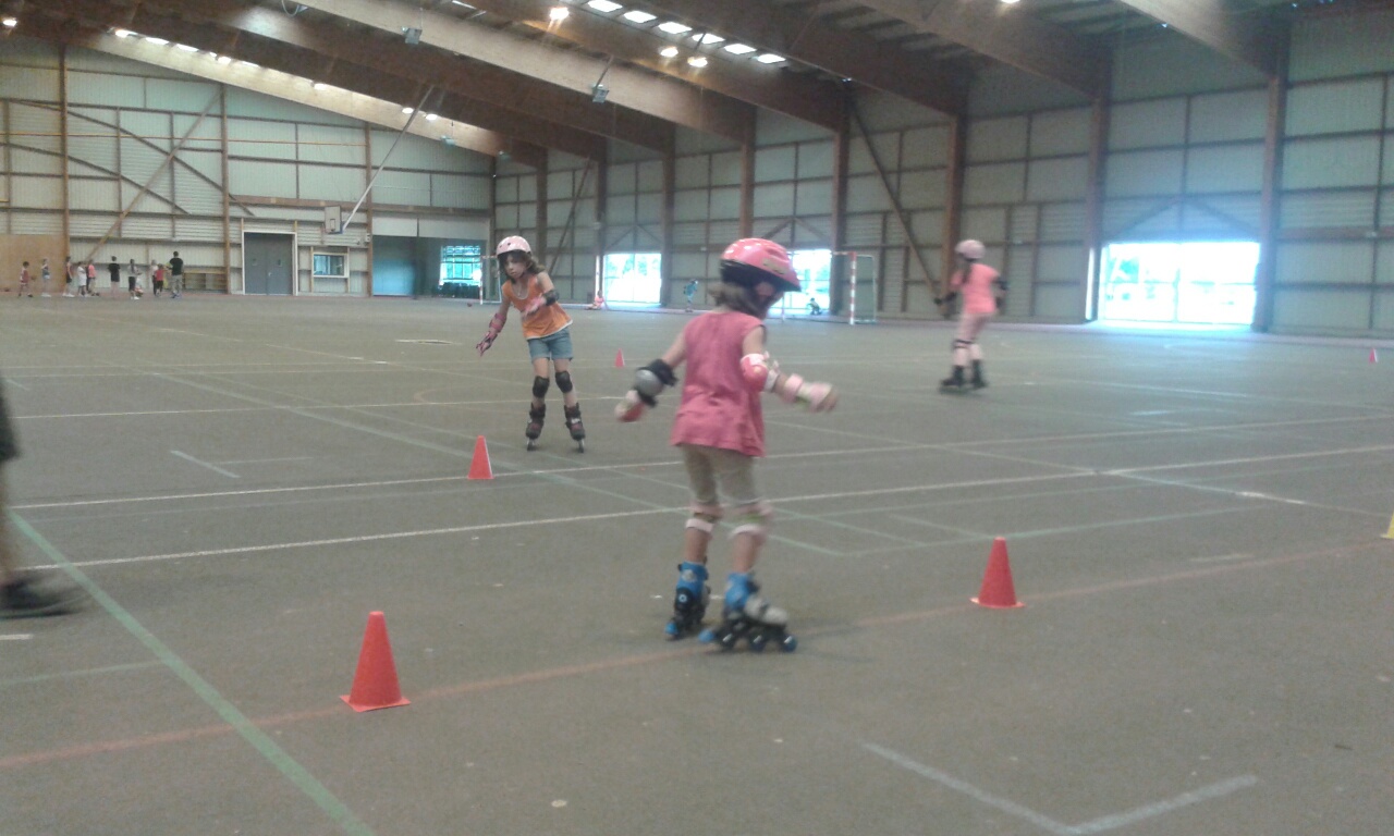 Roller. La Fédération Française organise une journée « Tous en rollers ...